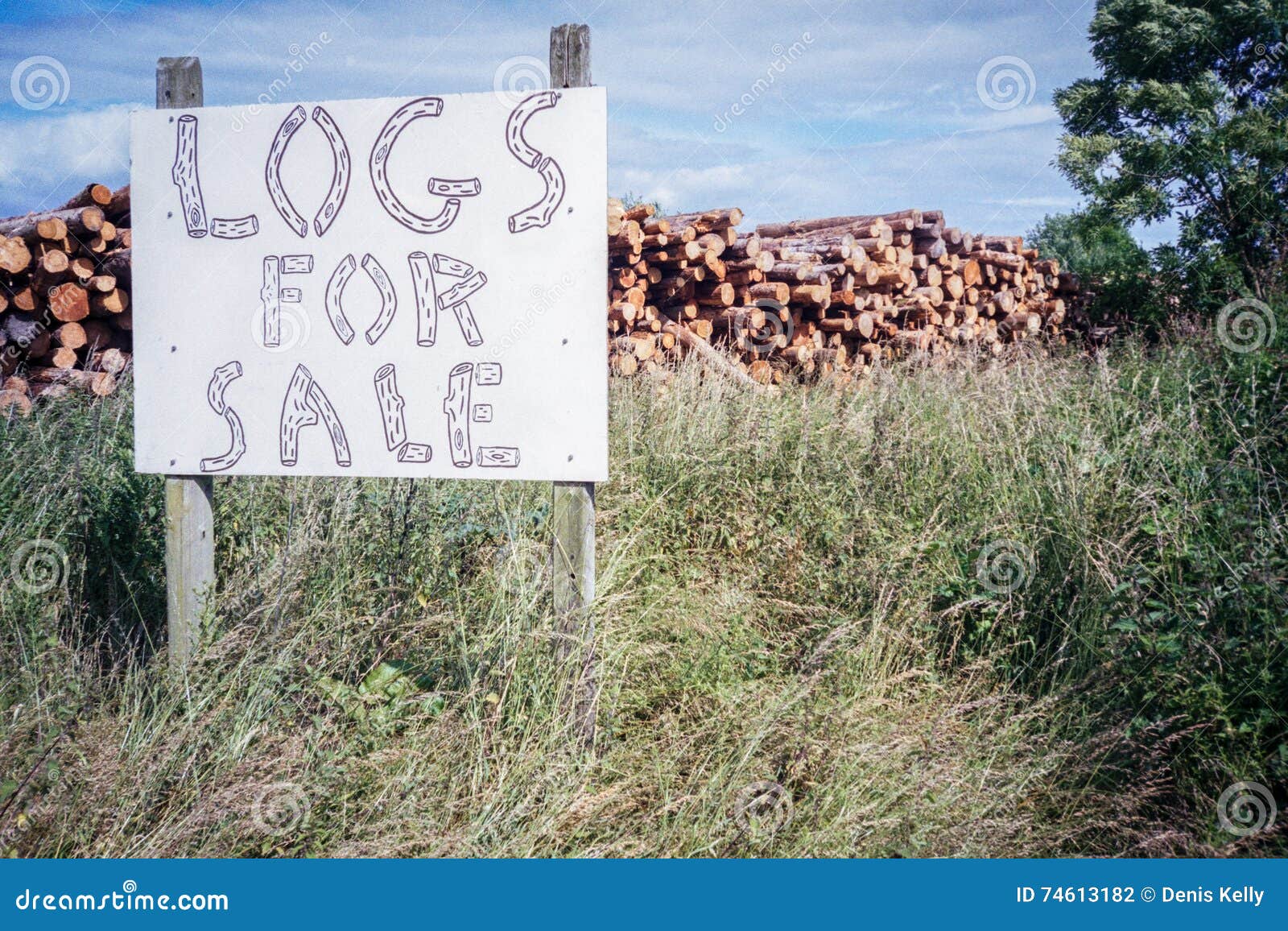 Logs for Sale Sign stock photo. Image of advert, advertisement - 74613182