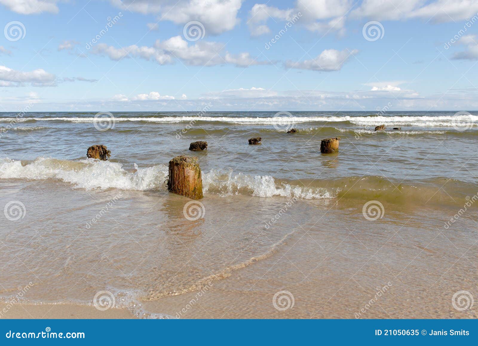 Logs and sea. stock image. Image of heron, rotten, pier - 21050635
