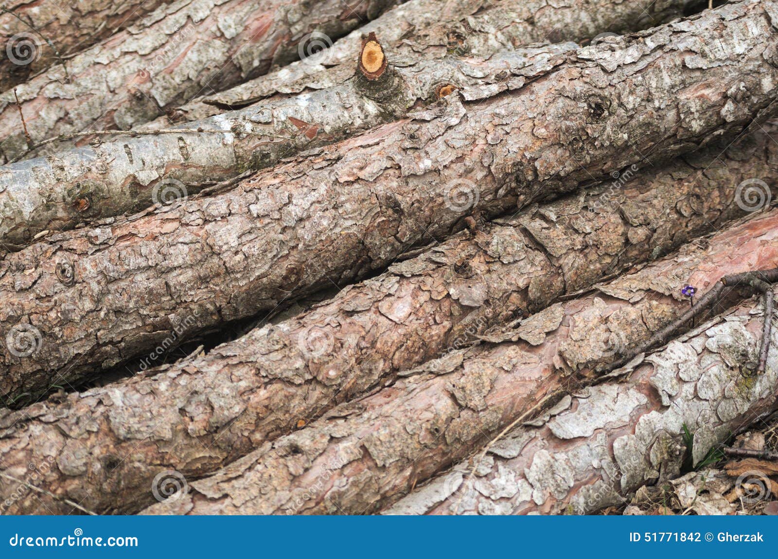 Logs stock photo. Image of forests, neat, natural, bark - 51771842