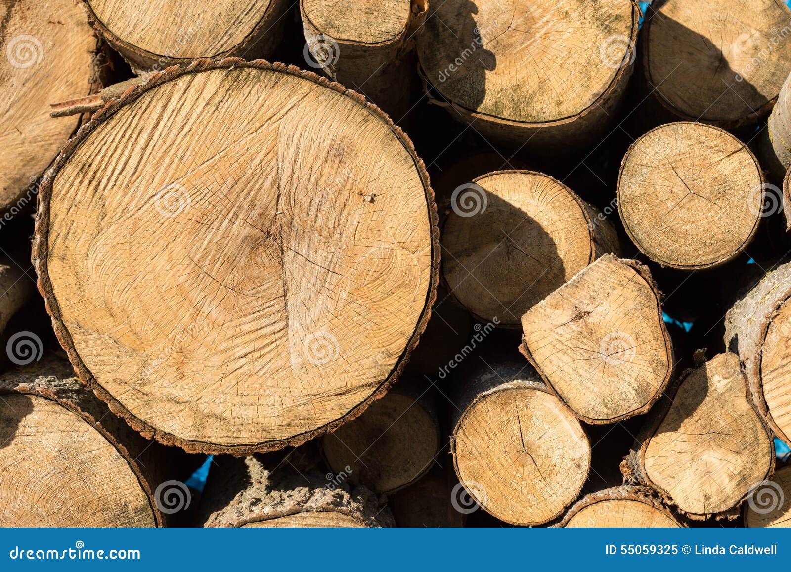 Logs stock image. Image of forest, turkey, material, resource - 55059325
