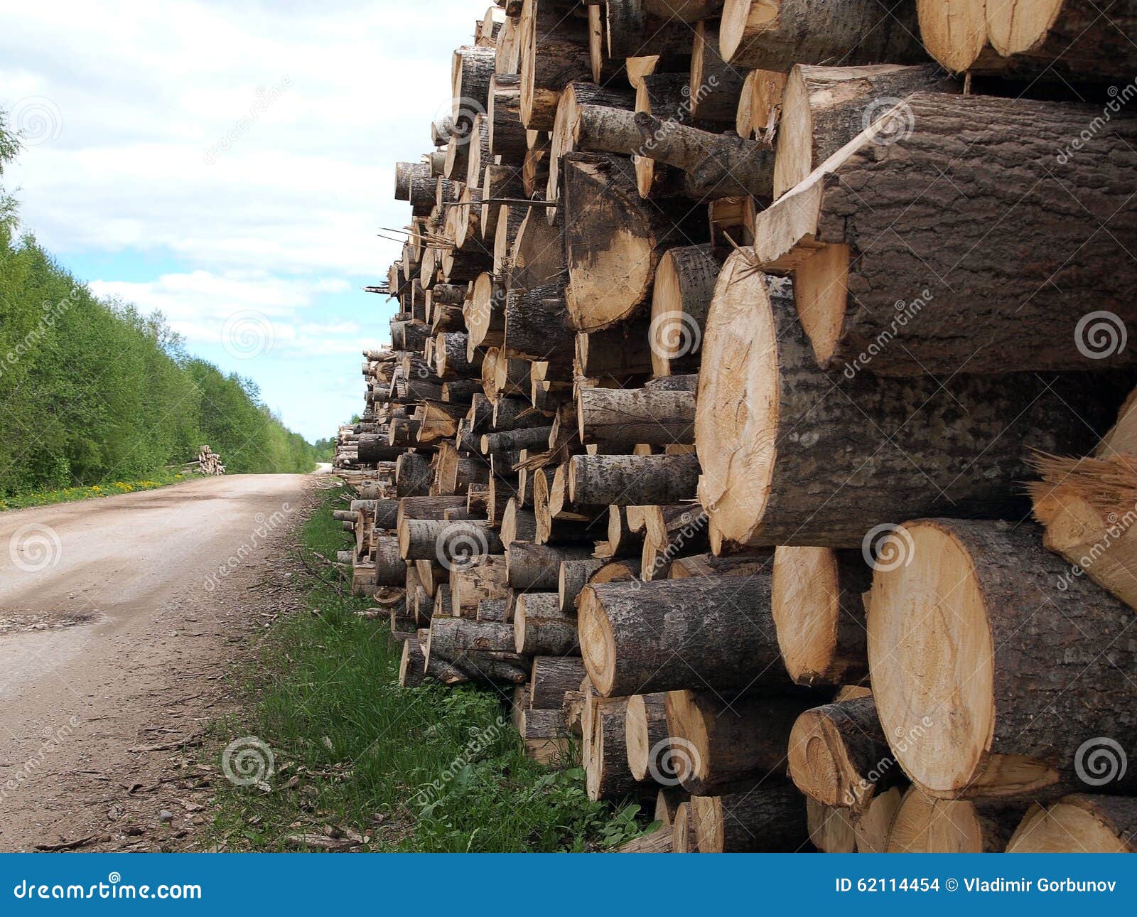 Logs stack stock photo. Image of lumber, agricultural - 62114454