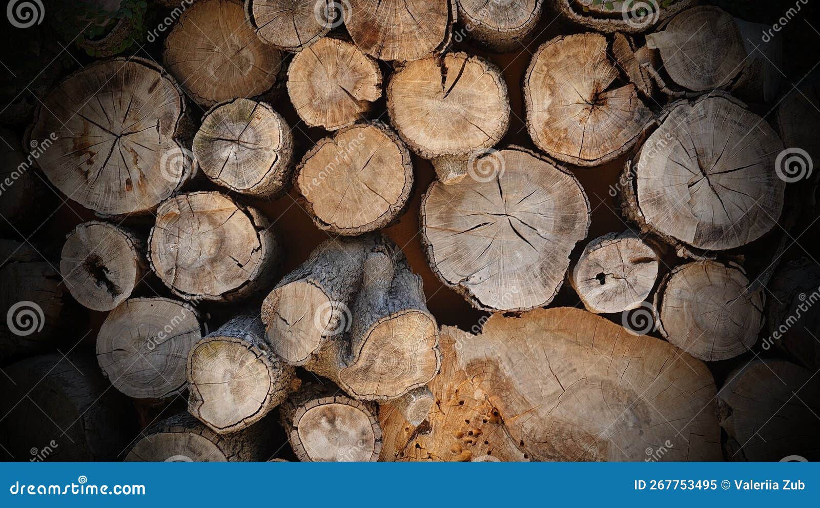 Cracked Logs Lie Like a Wall. Natural Wooden Background. Large Logs are ...