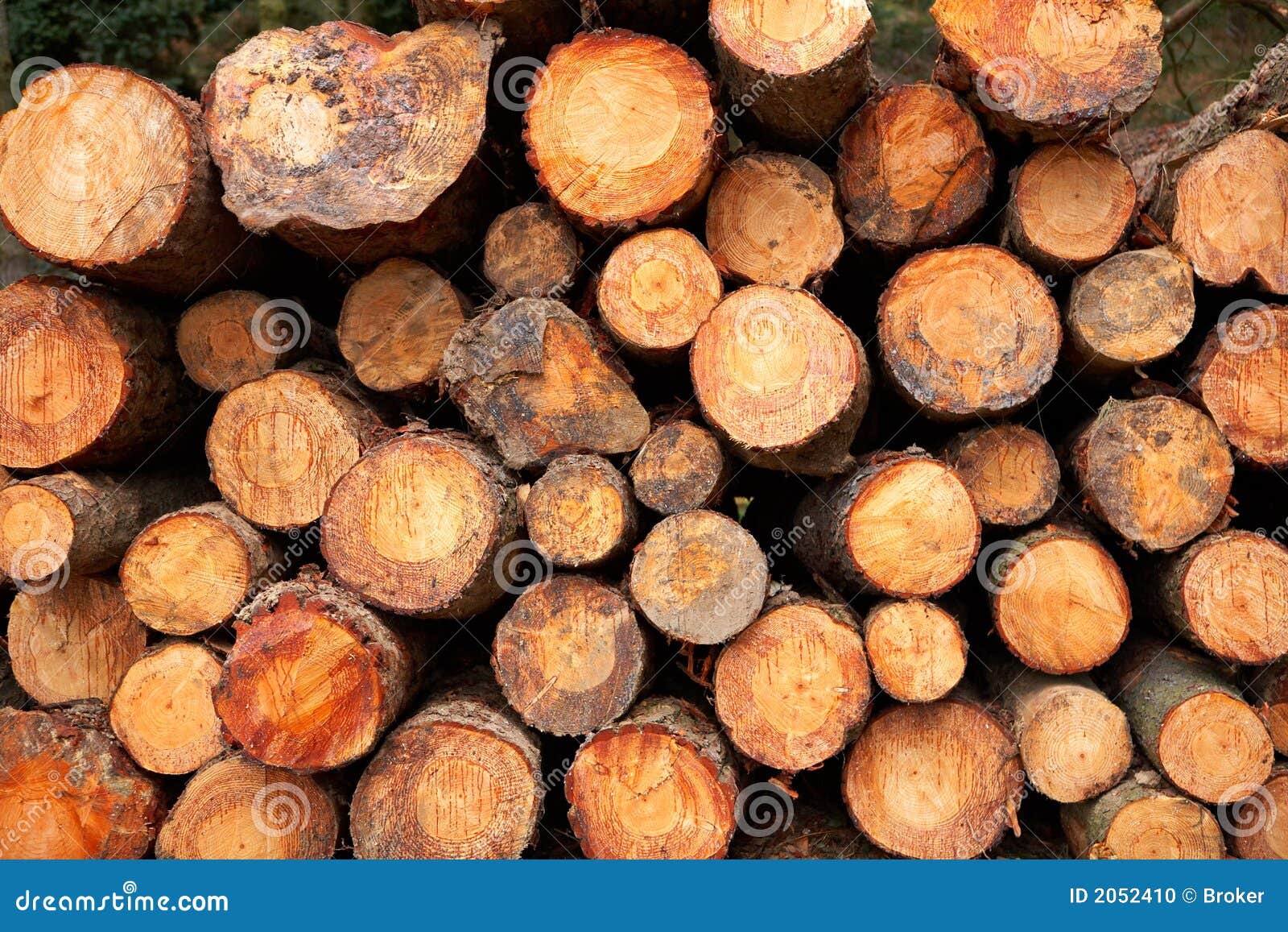 Logs stacked stock photo. Image of hewn, logstack, park - 2052410