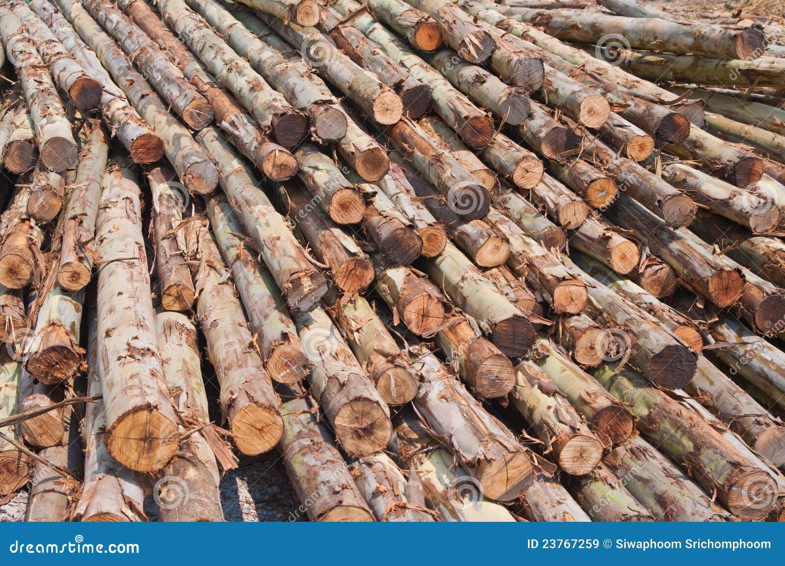 Logs stacked stock image. Image of firewood, chop, ecology - 23767259