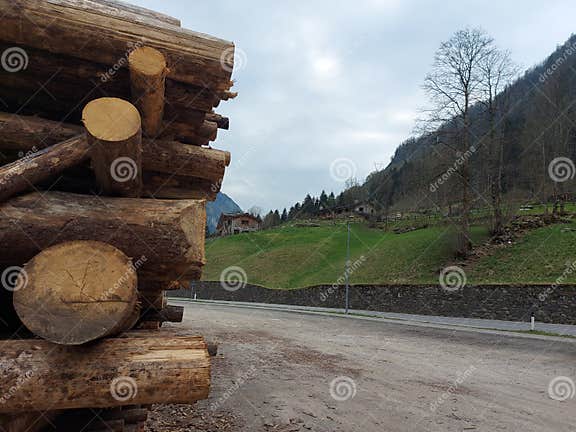 Logs Stacked on the Roadside Stock Photo - Image of wadi, temple: 264232044