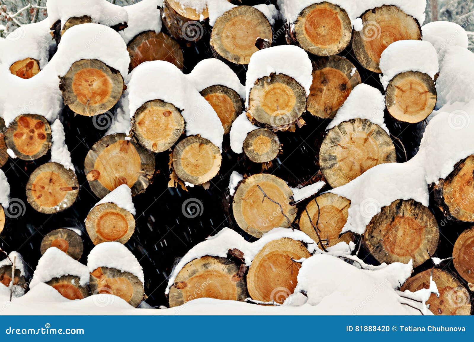 Logs Stacked Under the Snow in the Forest Stock Photo - Image of rough ...
