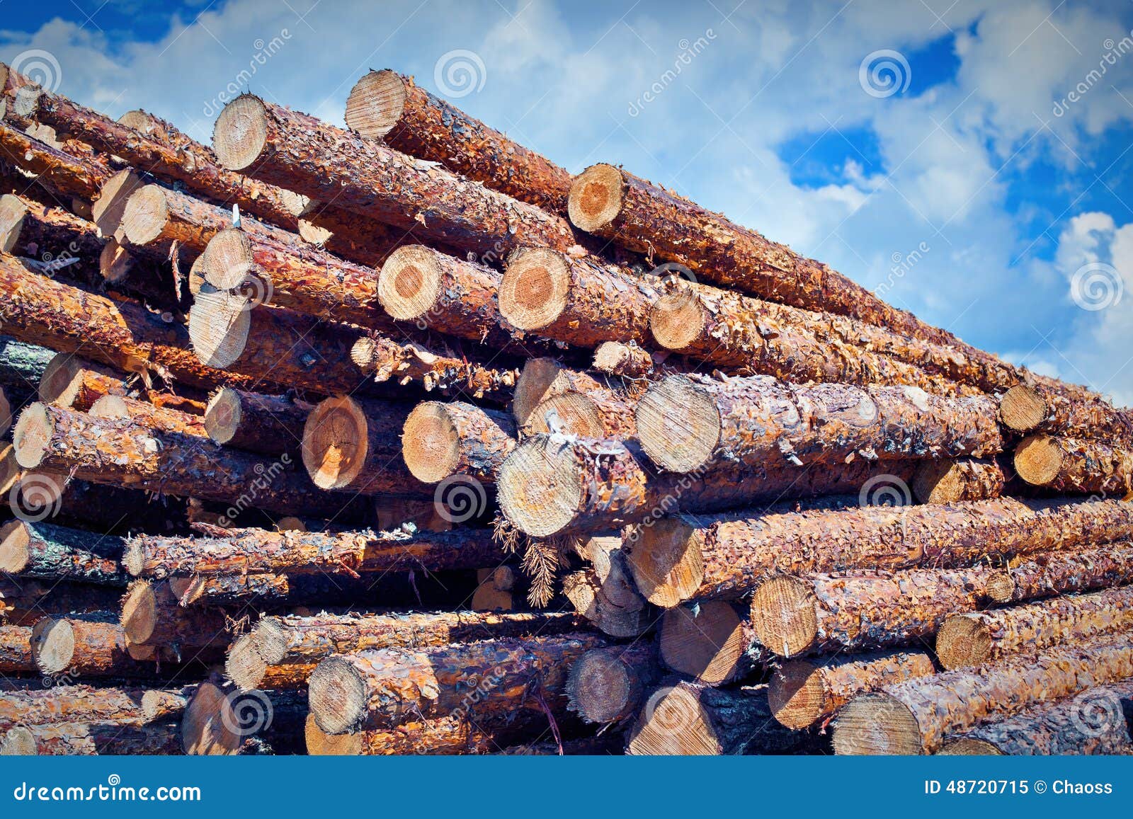 Logs store stock image. Image of store, pine, tree, logging - 48720715