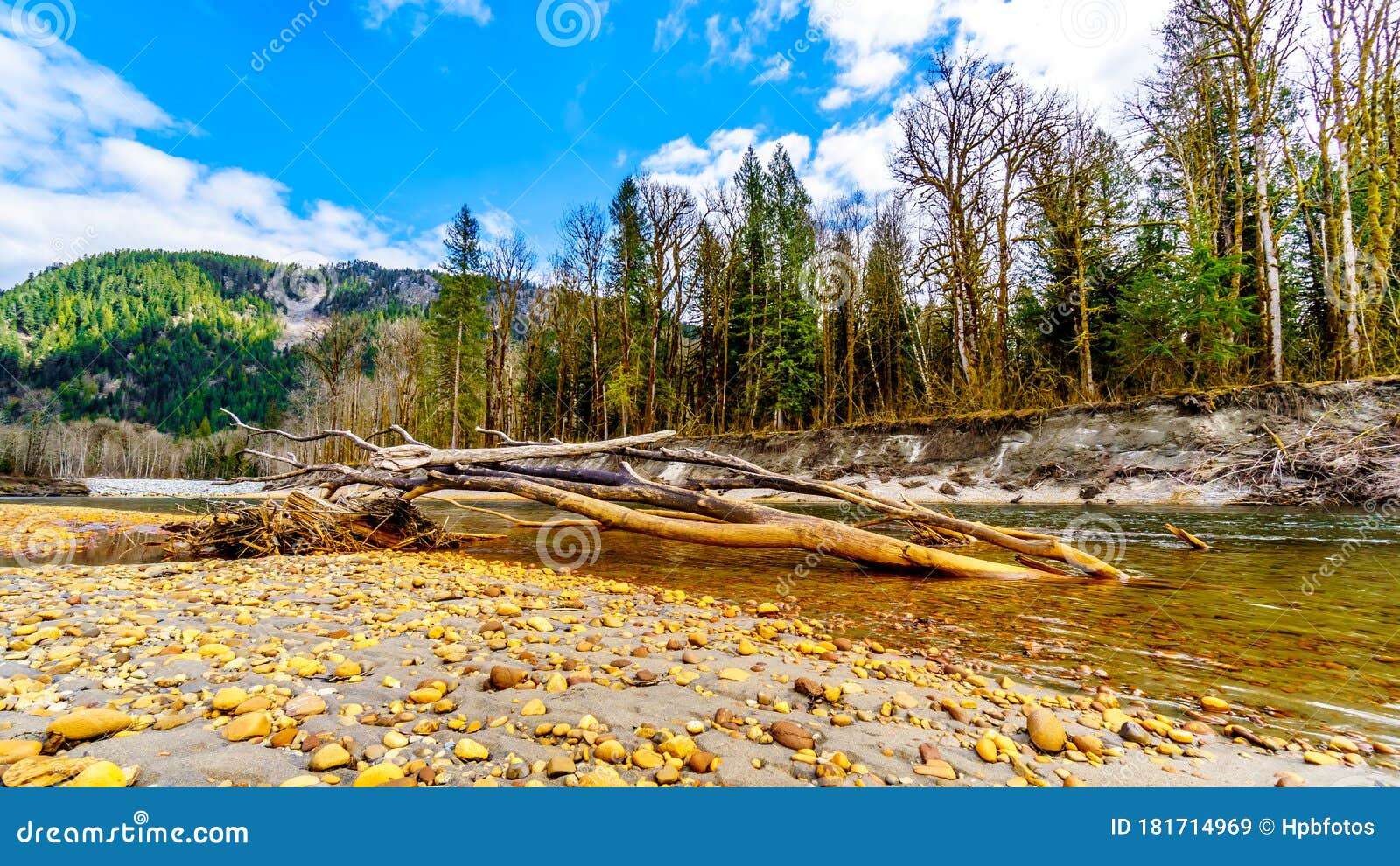 Logs Stuck in the Sand and Iron Oxide Stained Rocks Lining the Shore of ...