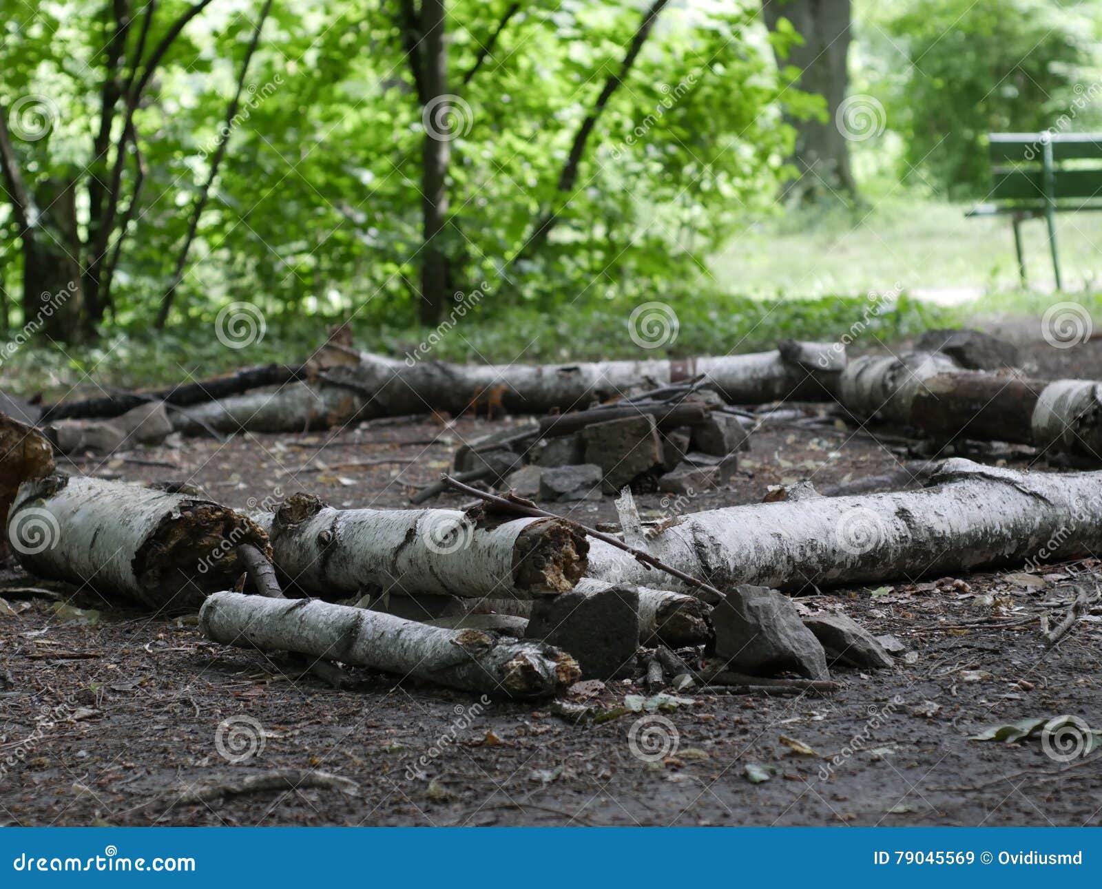 Logs Surrounding a Camp Fire Stock Image - Image of camp, fire: 79045569
