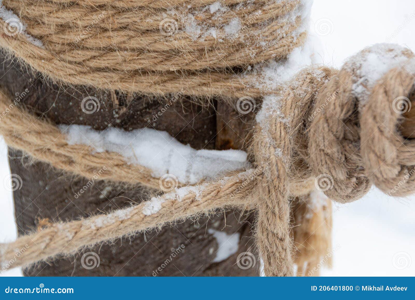 Logs are Tied with Rough Hemp Rope Stock Photo - Image of thread ...