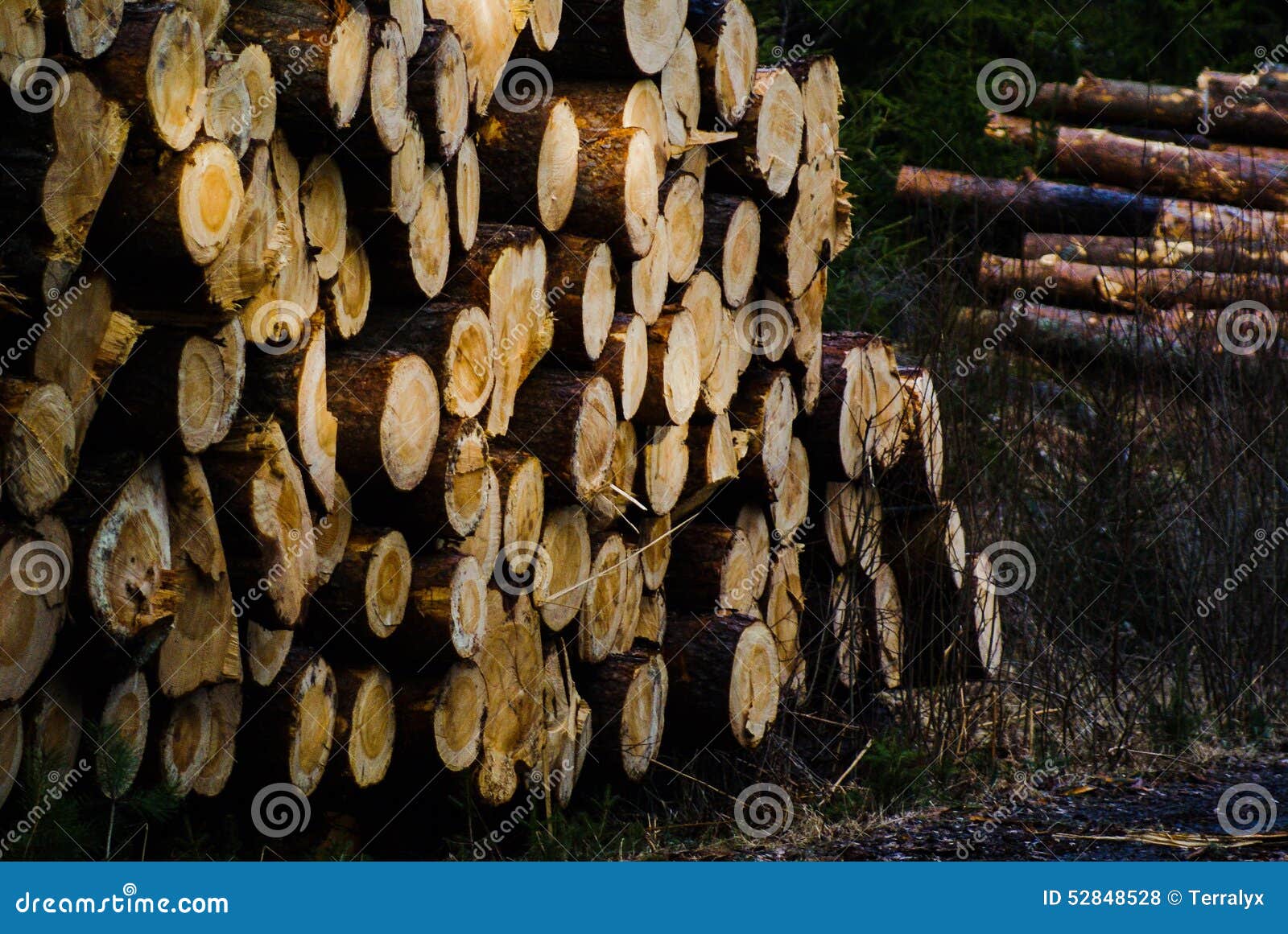 Logs stock photo. Image of timber, timberlogs, wood, industrial - 52848528