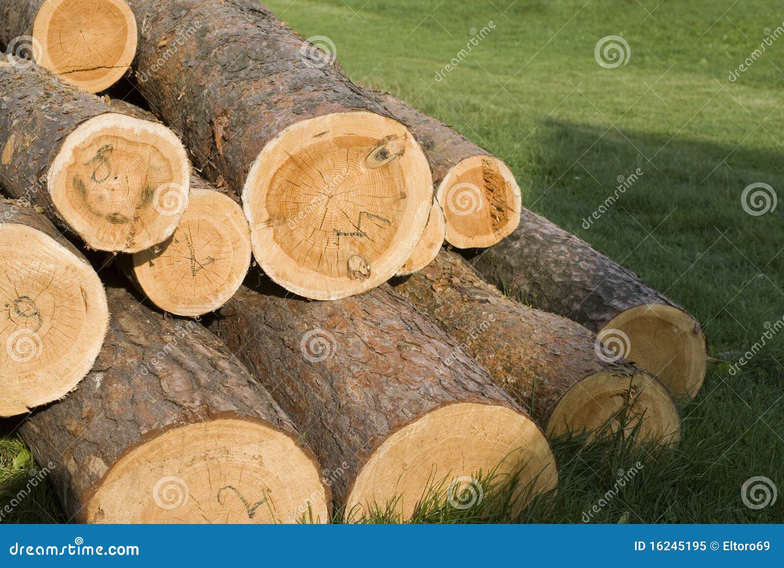 Logs of tree stock image. Image of structure, wooden - 16245195