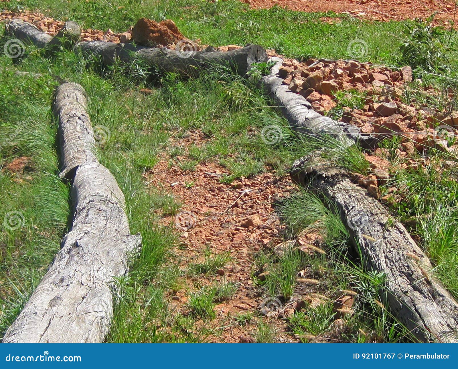 LOGS USED TO LAY OUT PATH stock image. Image of indicating - 92101767