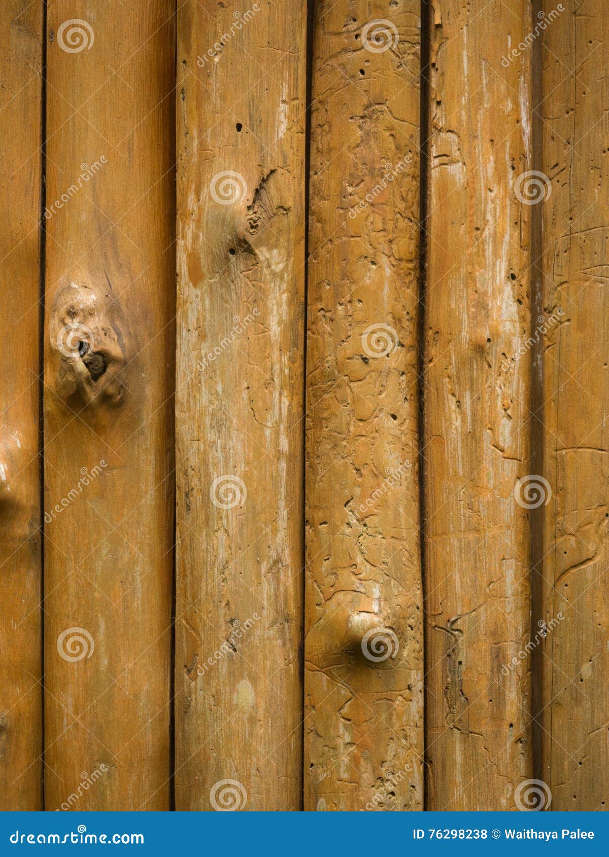 Logs Wall stock photo. Image of partition, nature, cabin - 76298238