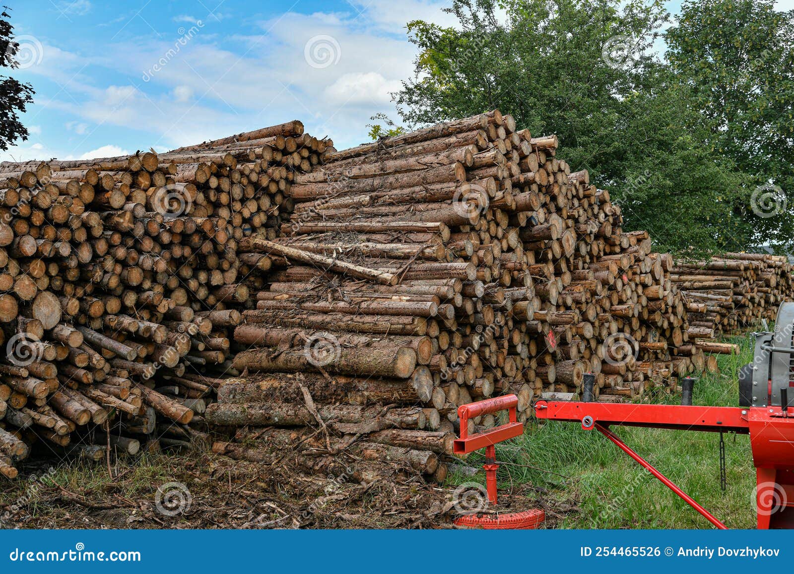 Logs in a Warehouse at a Sawmill for Chopping and Sawing for Firewood ...