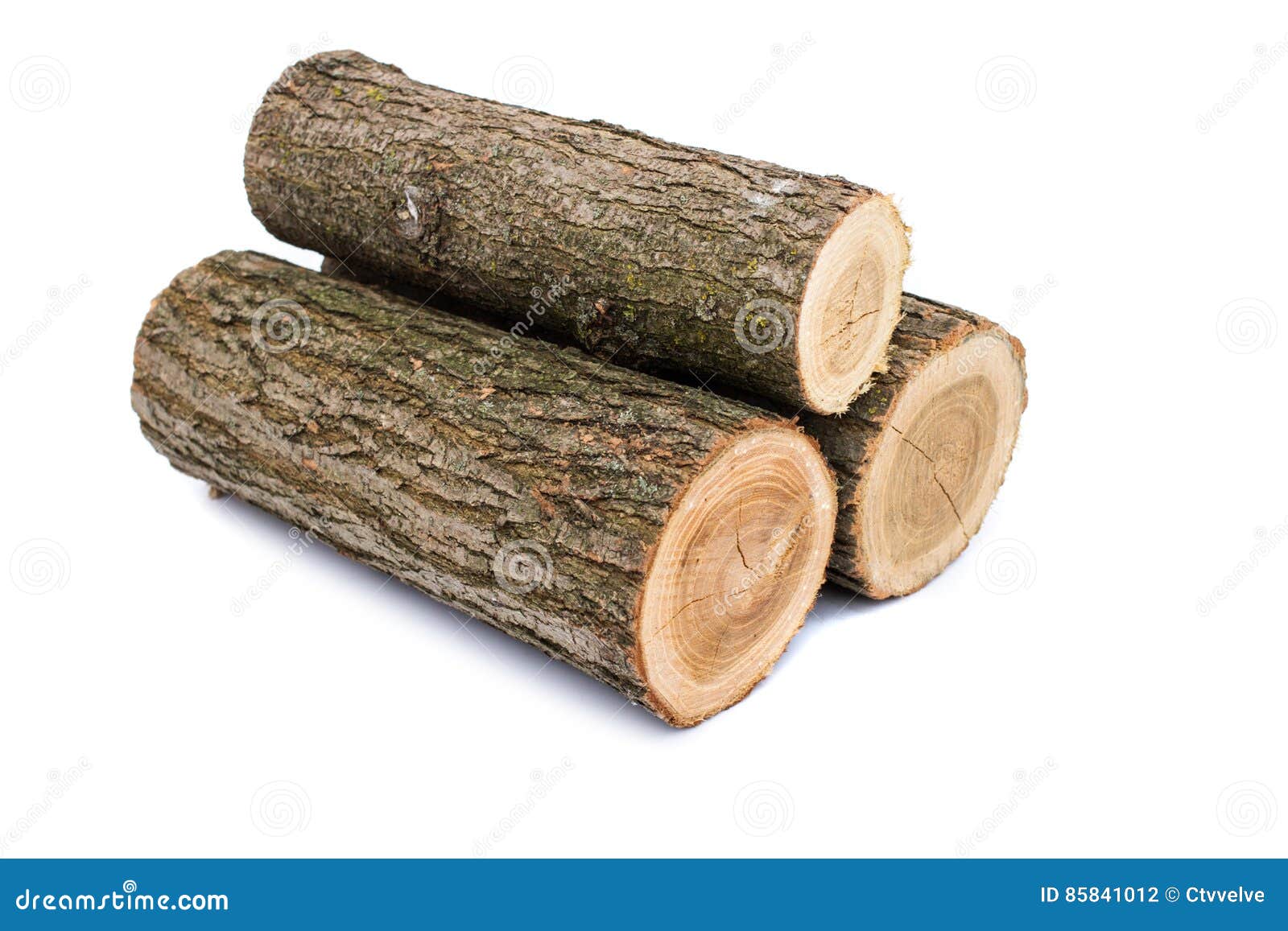 Logs On White Background, Studio Photo, Acacias Tree Stock Photography ...