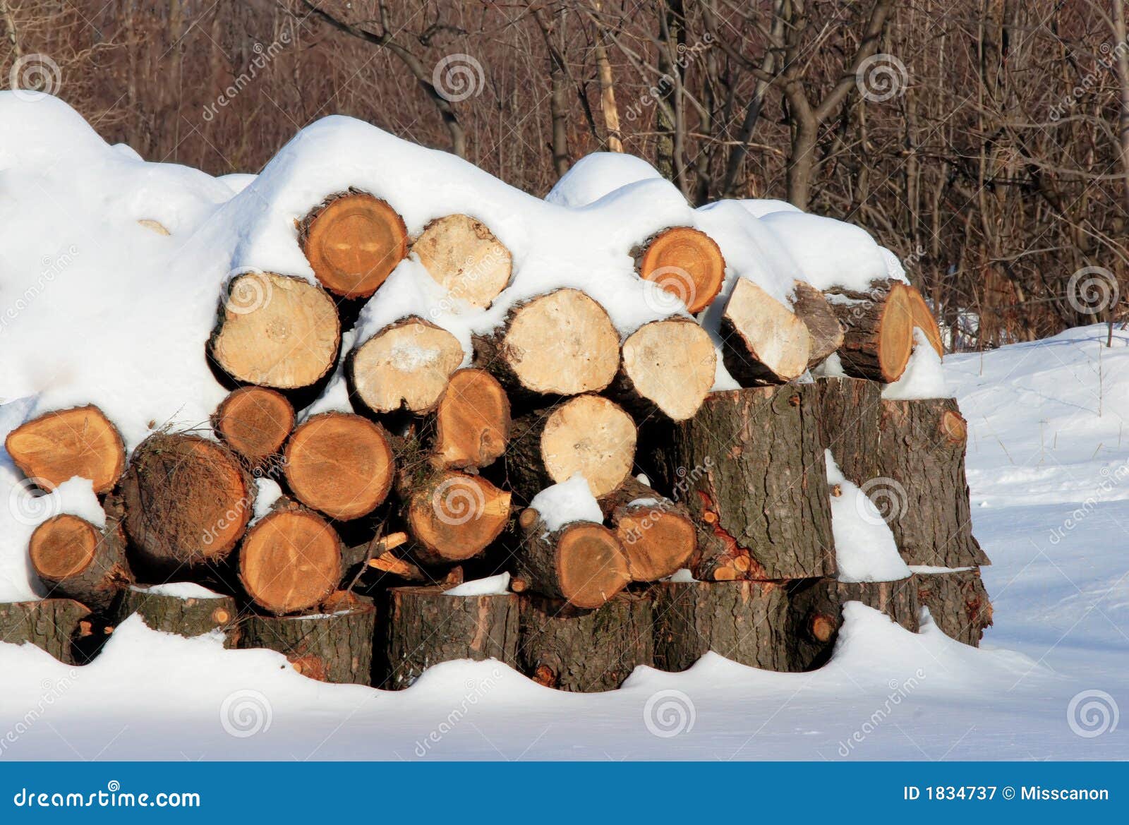 Logs in winter stock image. Image of snow, ecology, prepared - 1834737