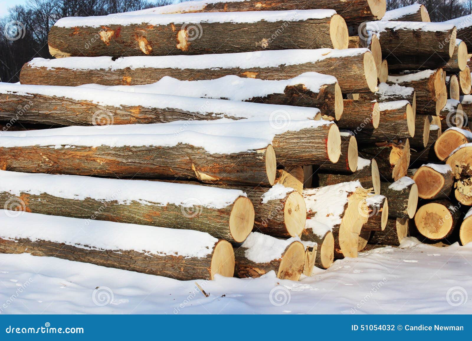 Logs in Winter with Snow stock photo. Image of winter - 51054032