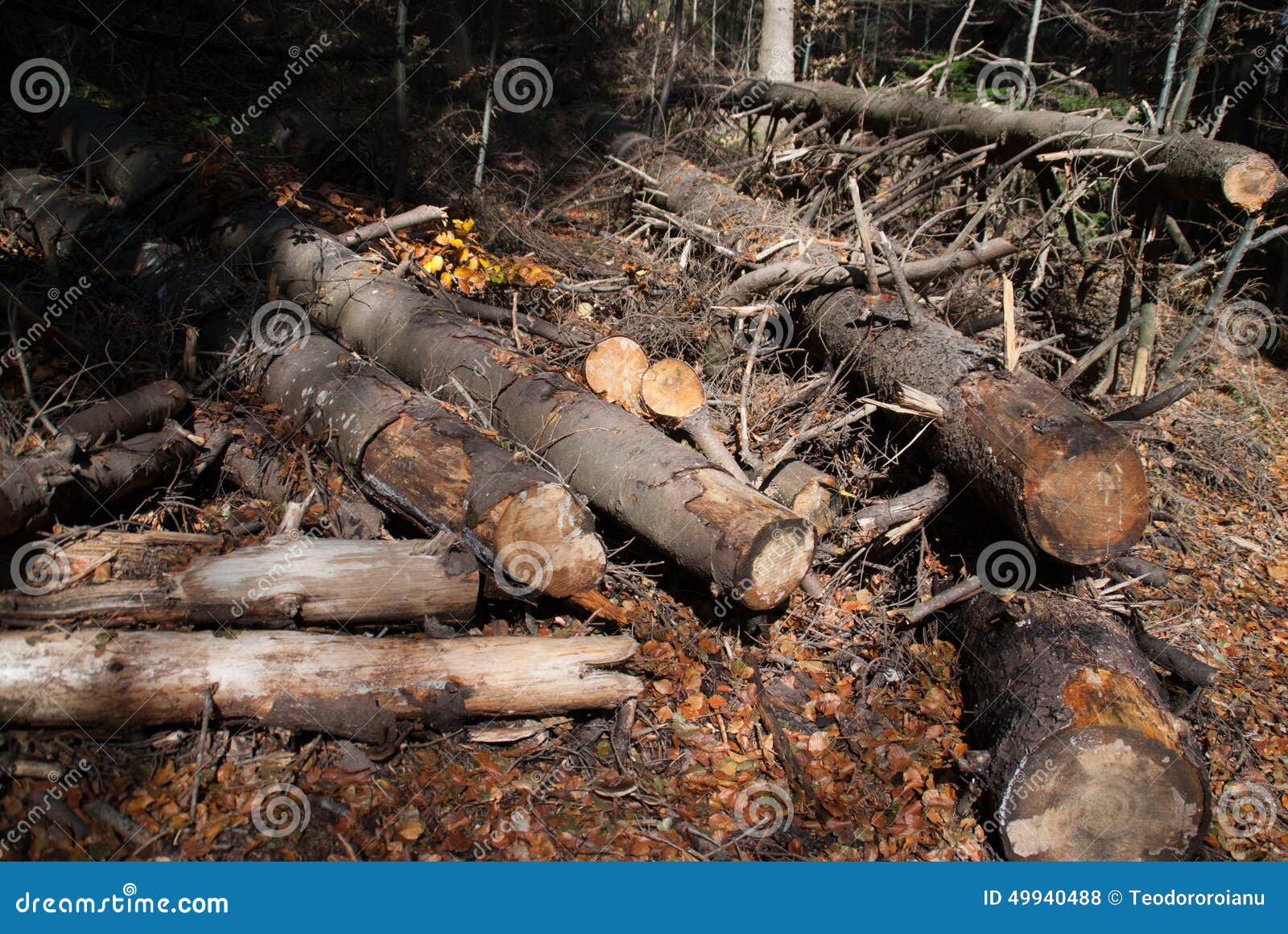 Logs stock photo. Image of detail, history, circle, geometric - 49940488