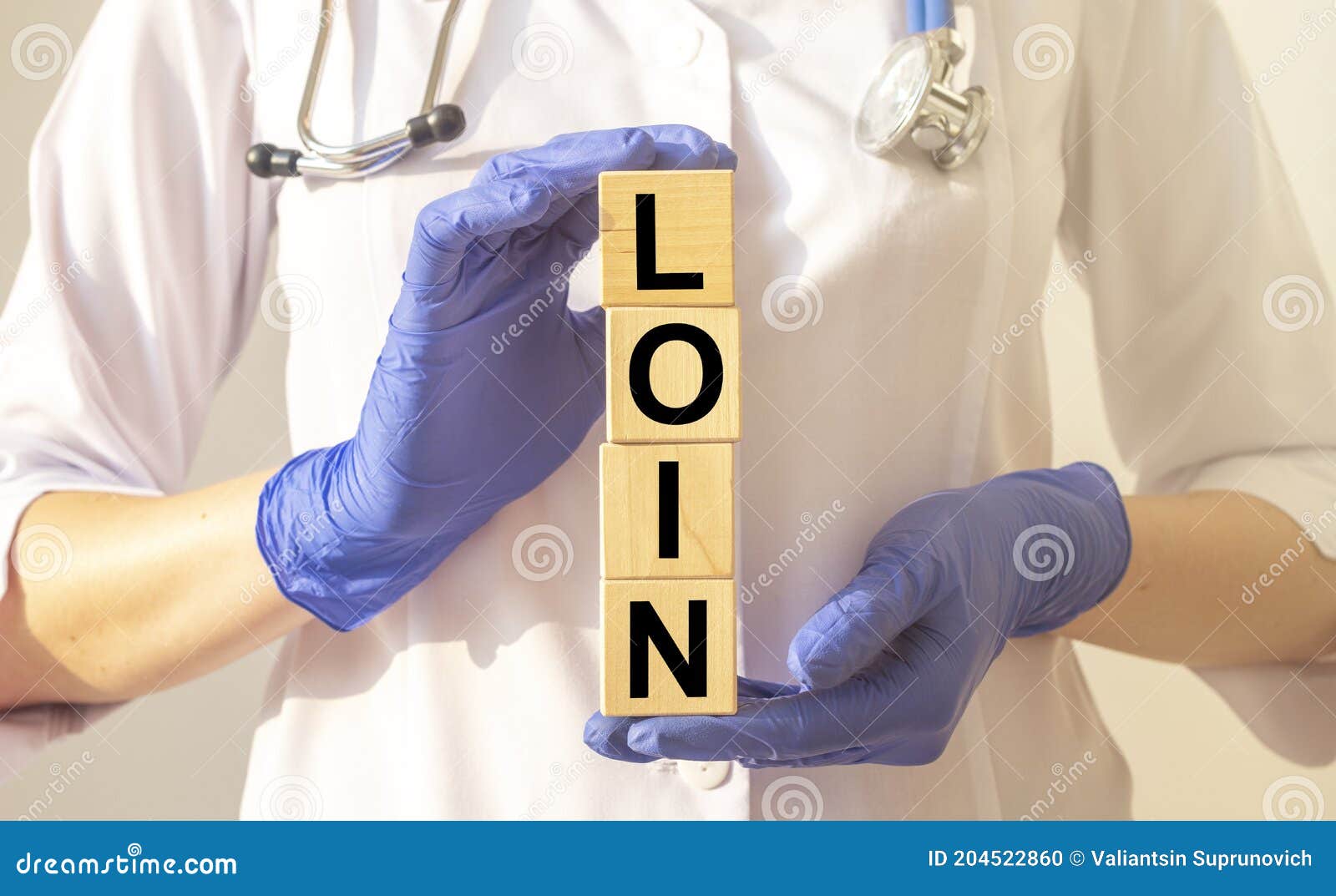 Loin word. Anatomy stock photo. Image of human, anatomy - 204522860