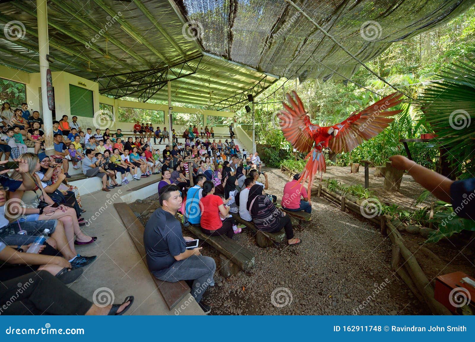 LOK KAWI ZOO editorial stock photo. Image of jungle - 162911748