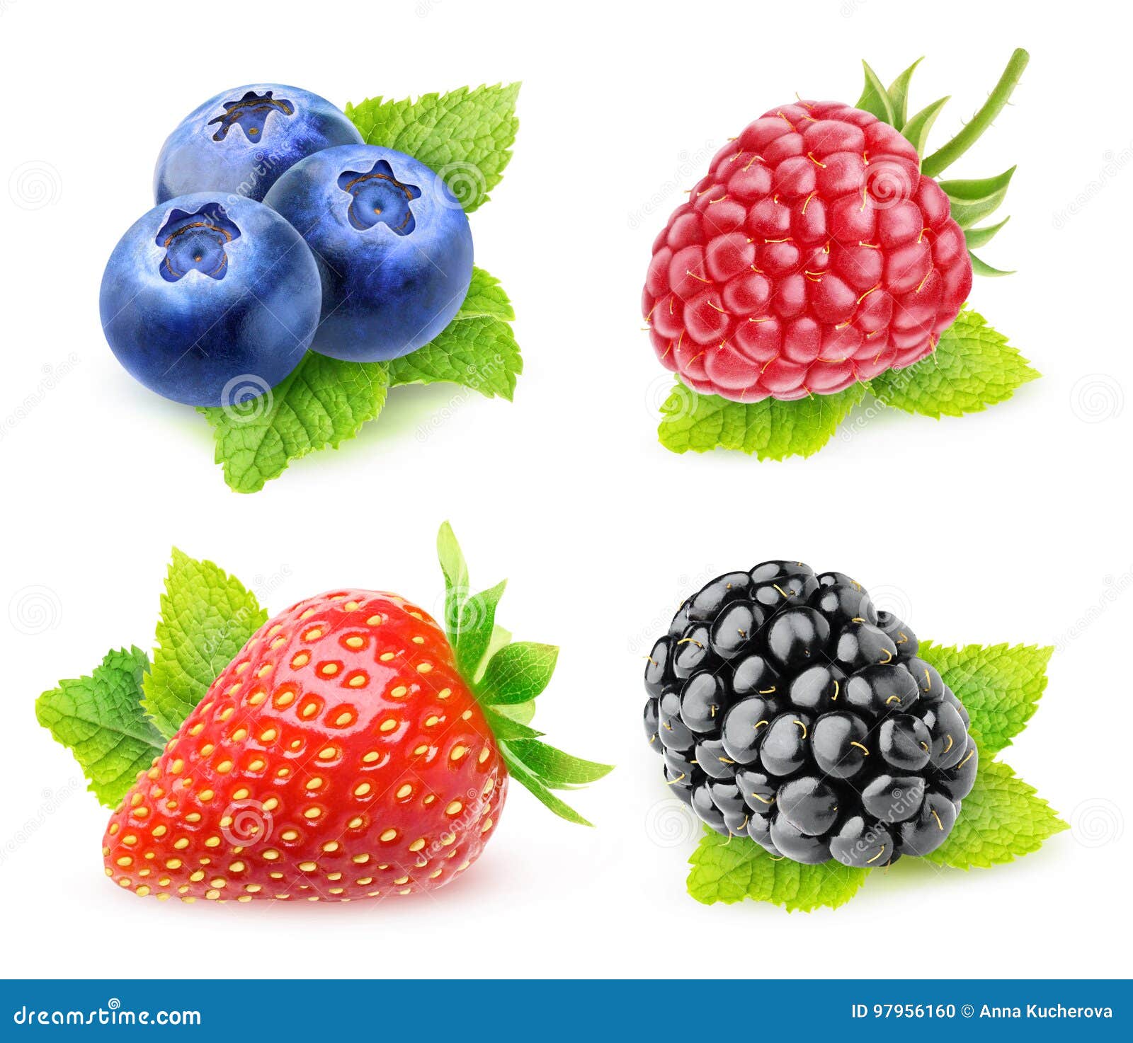 Lokalisierte Beeren Mit Tadellosem Blatt Stockfoto - Bild von ...