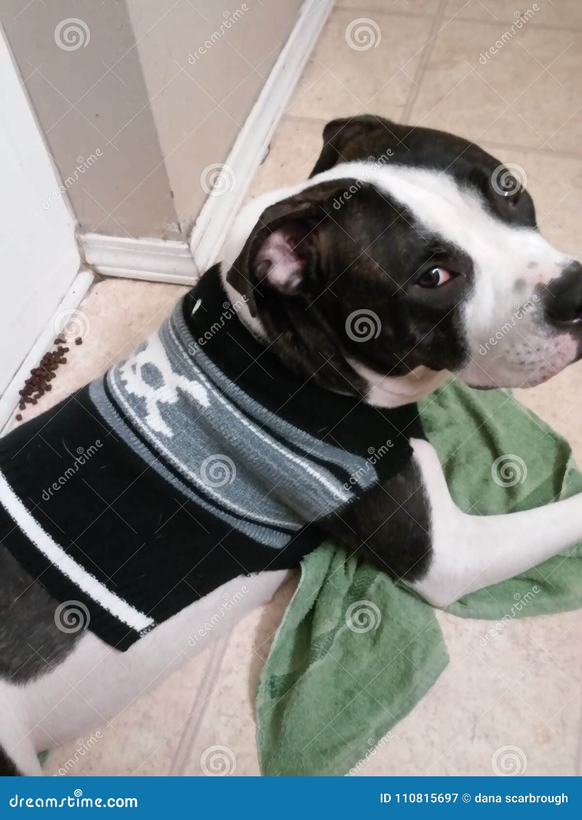 Lol boo stock image. Image of wanting, frustrated - 110815697