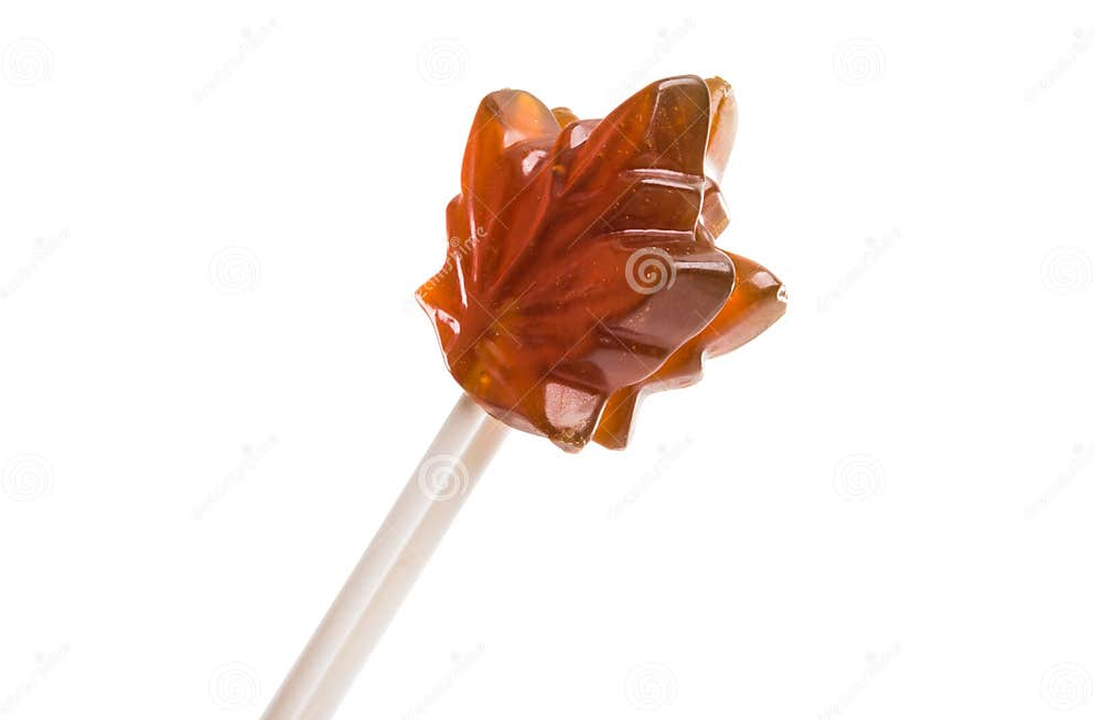 Lollipop maple leaf stock image. Image of delicious - 118310037
