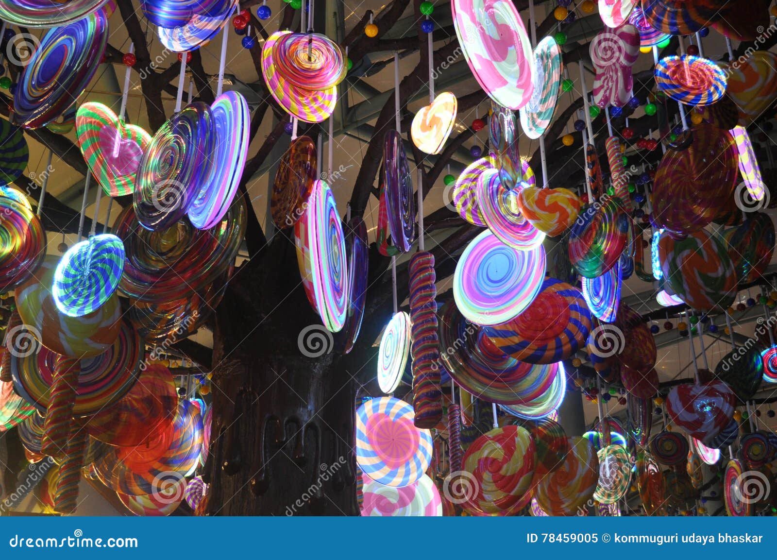 Lollipop tree colour full stock image. Image of carnival - 78459005
