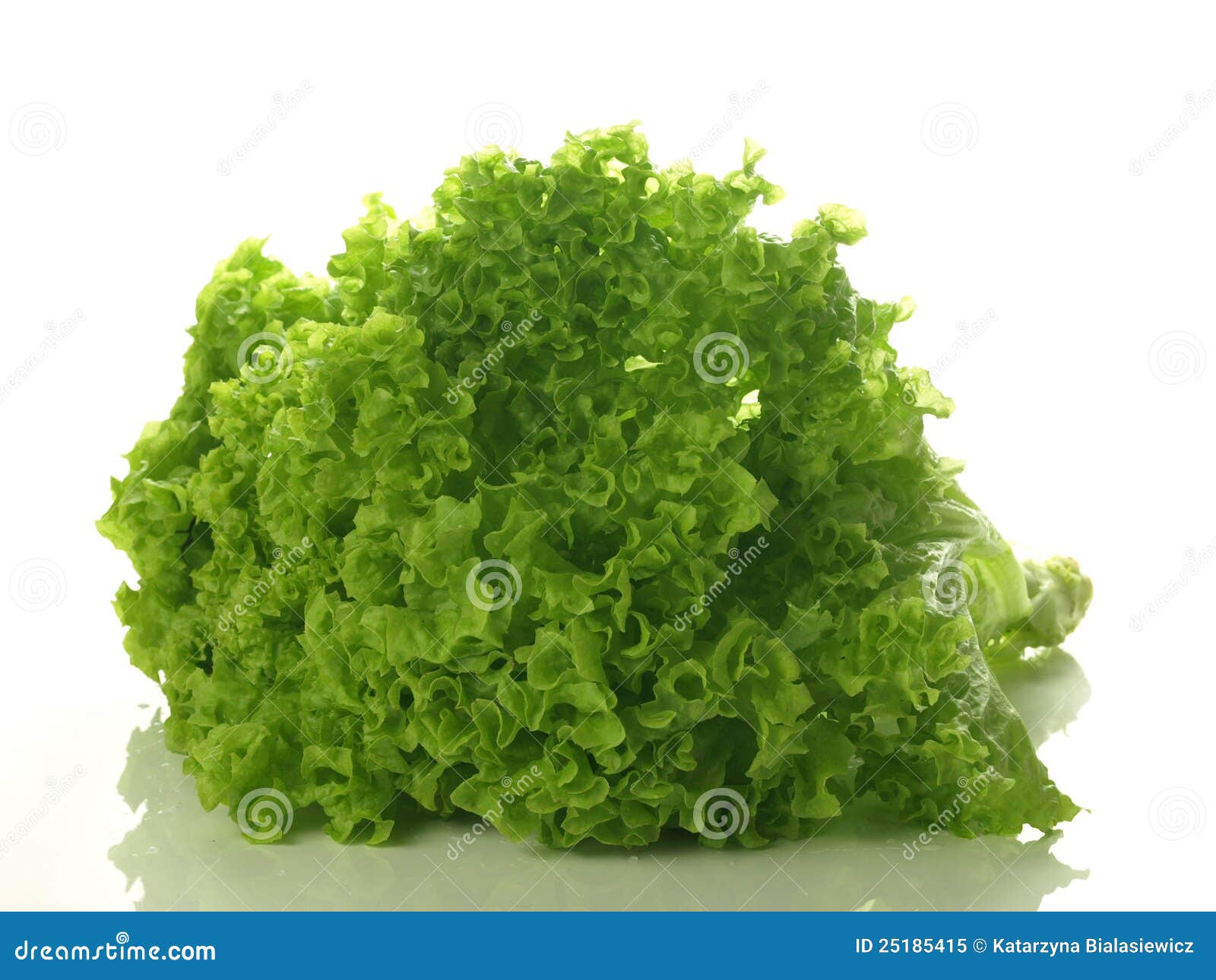 Lollo Bionda stock image. Image of green, vegetable, leaves - 25185415