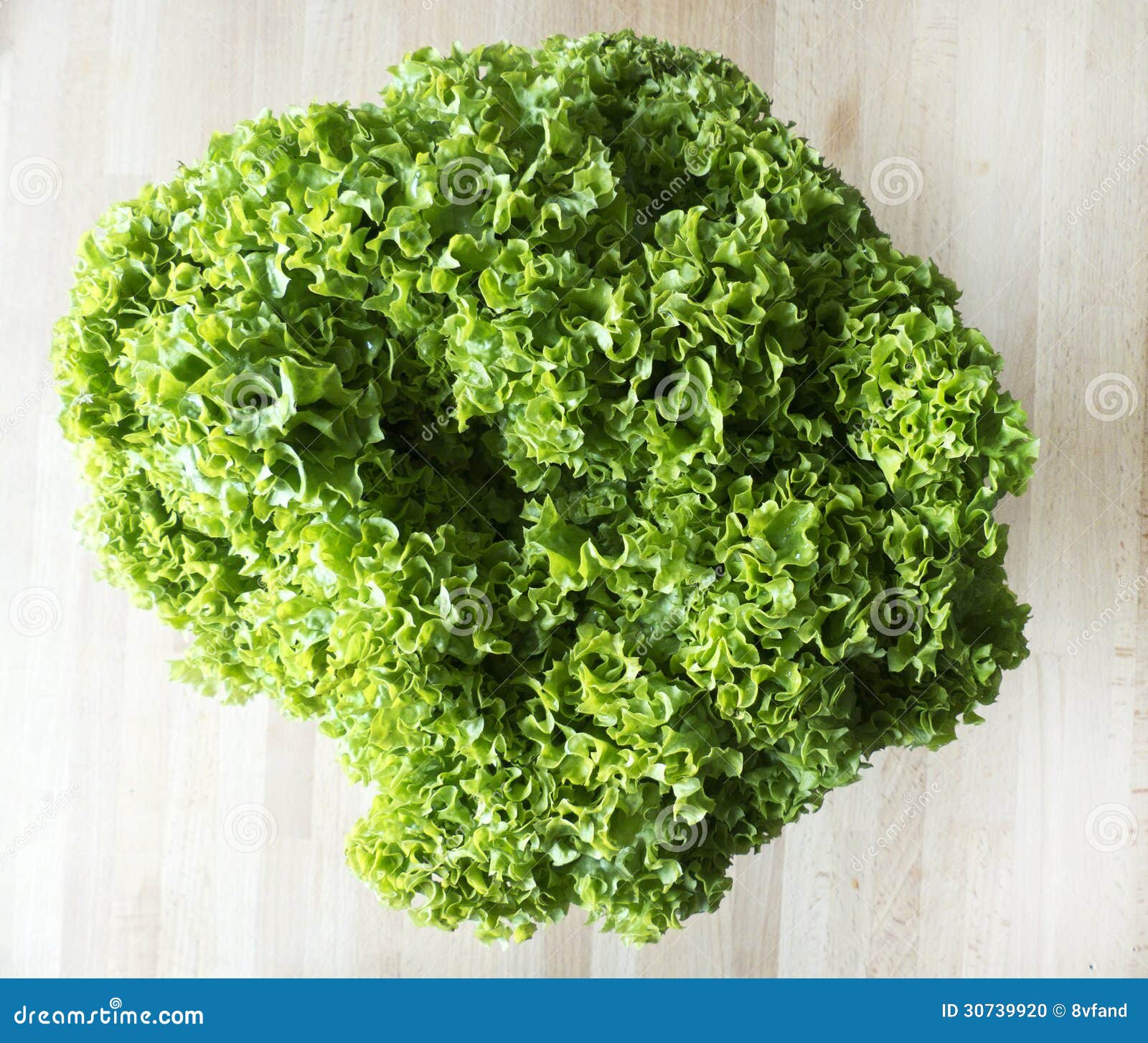 Lollo Bionda stock photo. Image of lettuce, wooden, green - 30739920