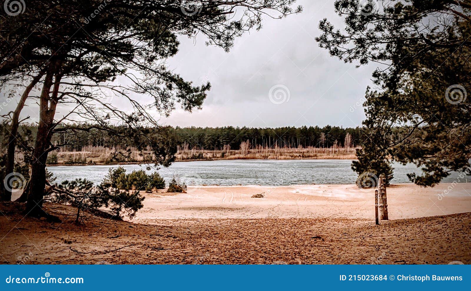 Lommelse Sahara in Belgium. & X27;o Beach Sandpit Stock Photo - Image ...