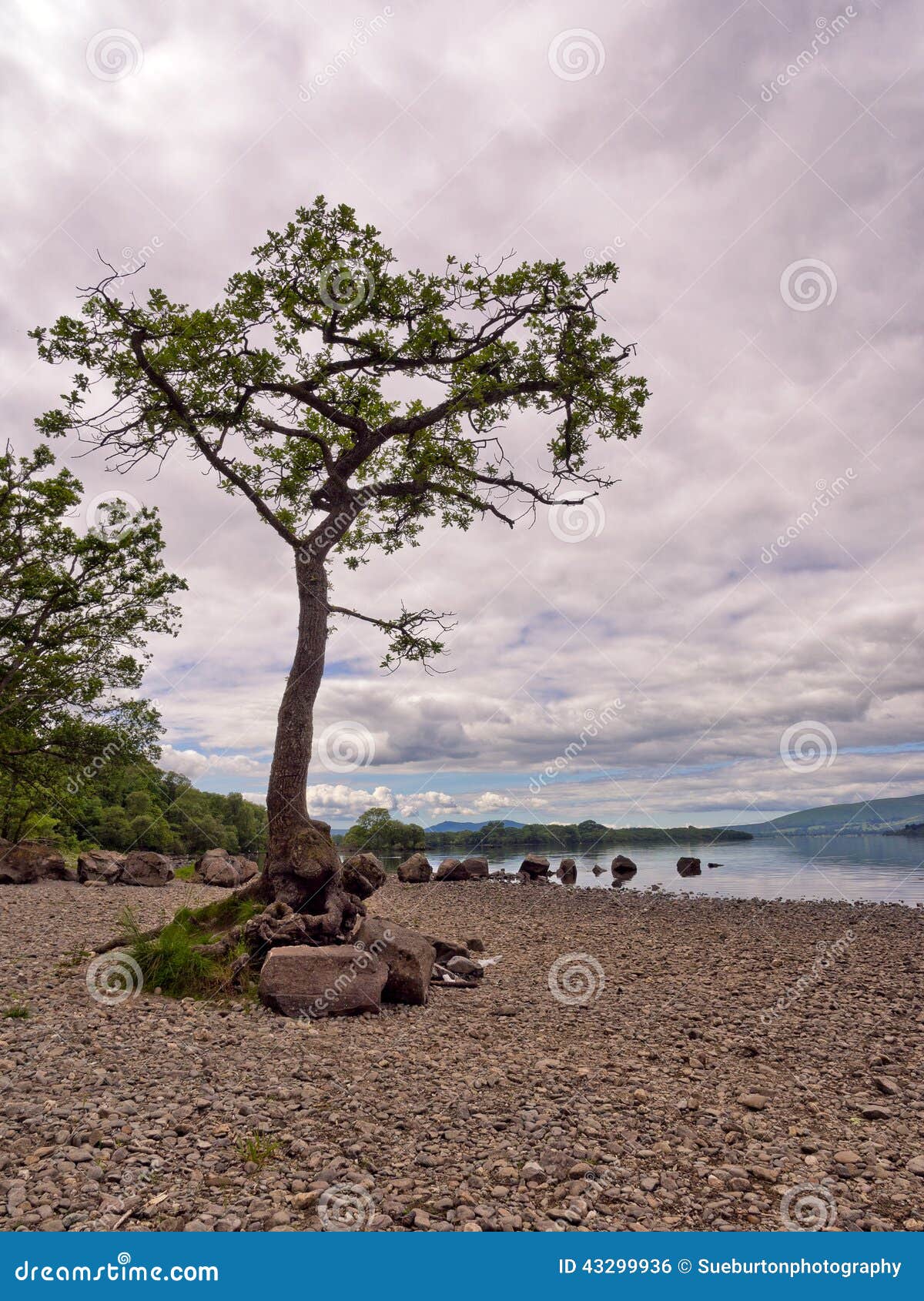 Lomoind Del Este Del Lago De Las Orillas Foto de archivo - Imagen de ...