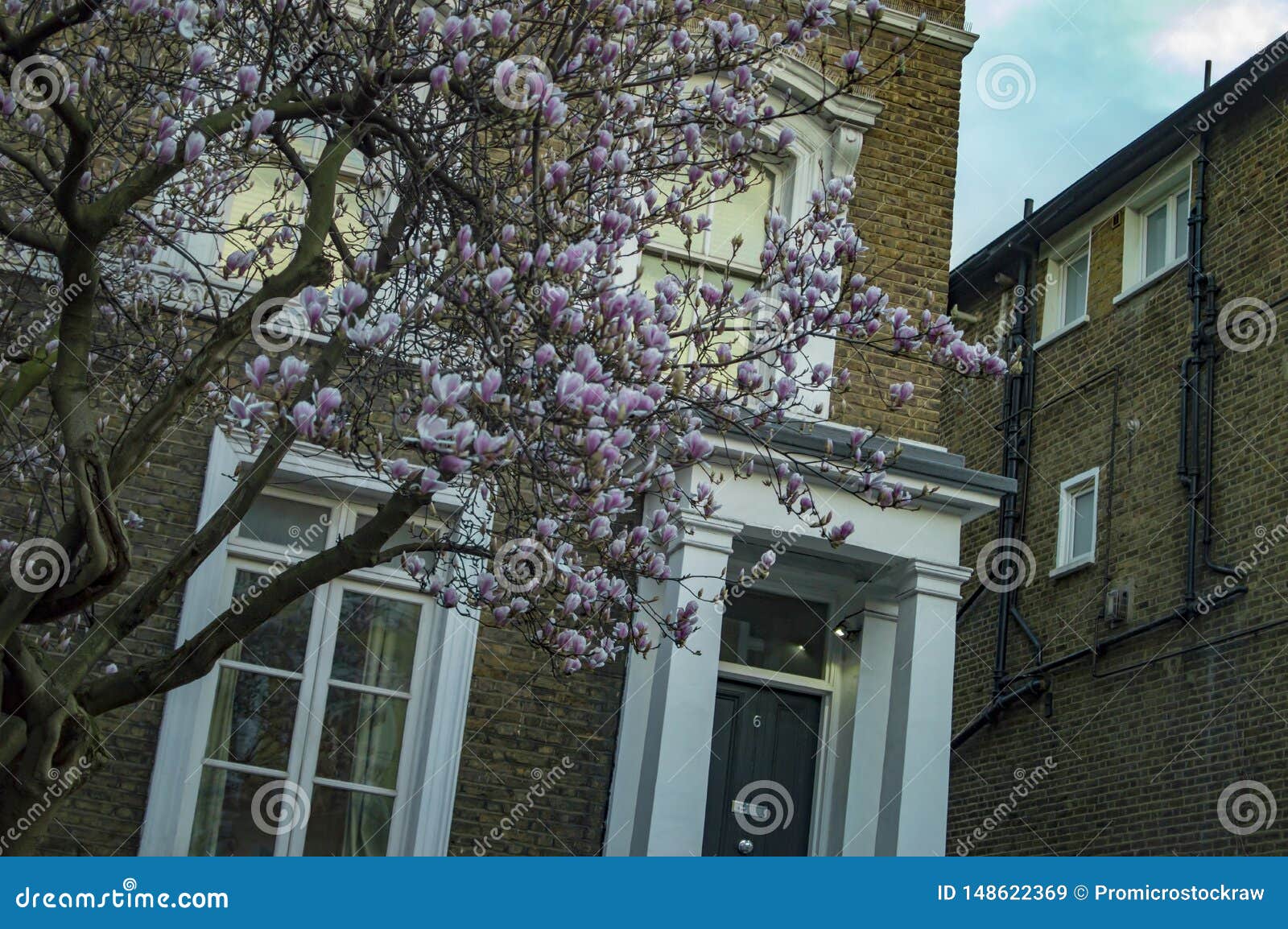 London Backyard at Home and White Windows Stock Image - Image of flower ...