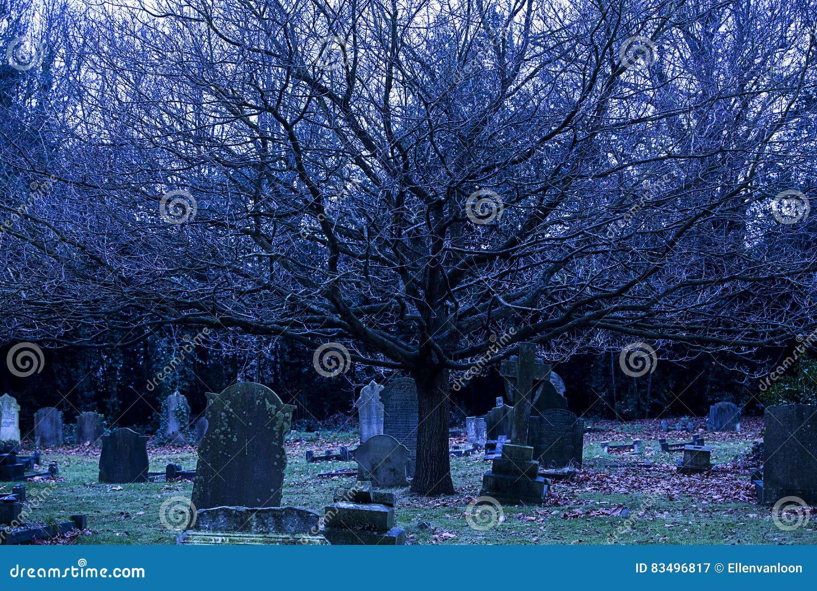 London cemetery stock image. Image of dead, moody, dark - 83496817