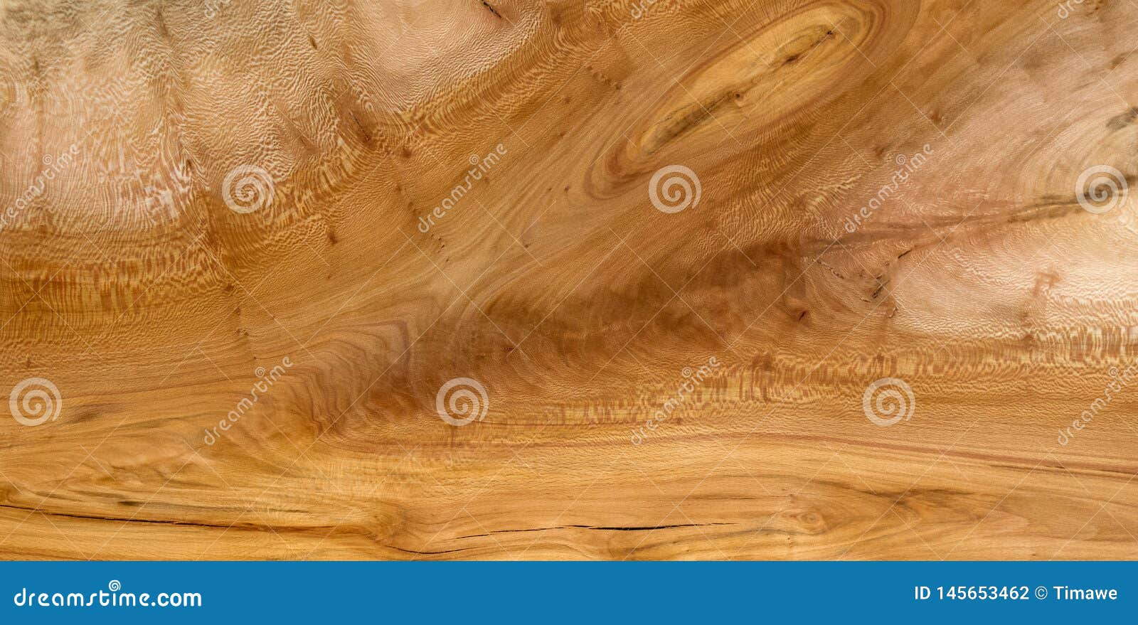 London Plane Timber stock photo. Image of hispanica - 145653462