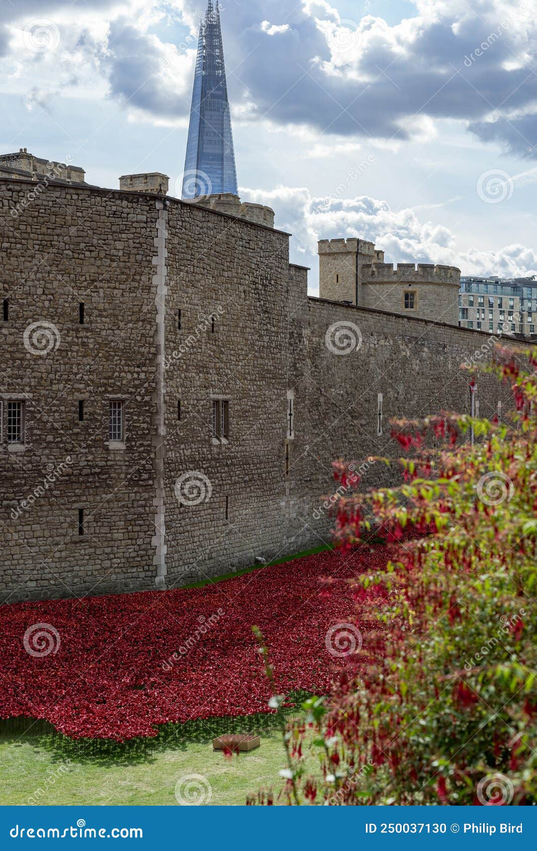 Poppy Display at the Tower of London on August 22, 2014 Editorial Image ...