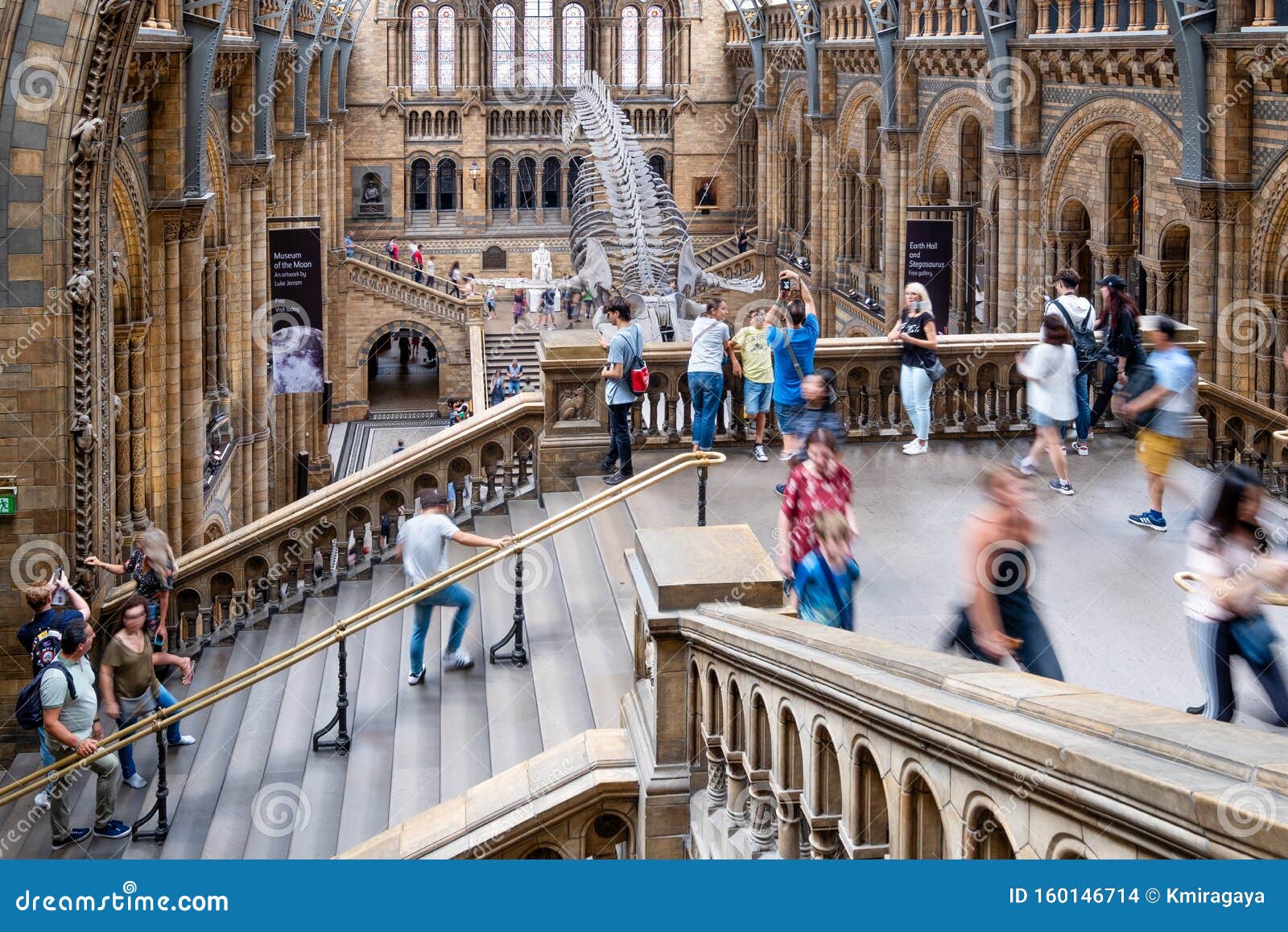 The Hintze Hall At The Natural History Museum In London Editorial Stock