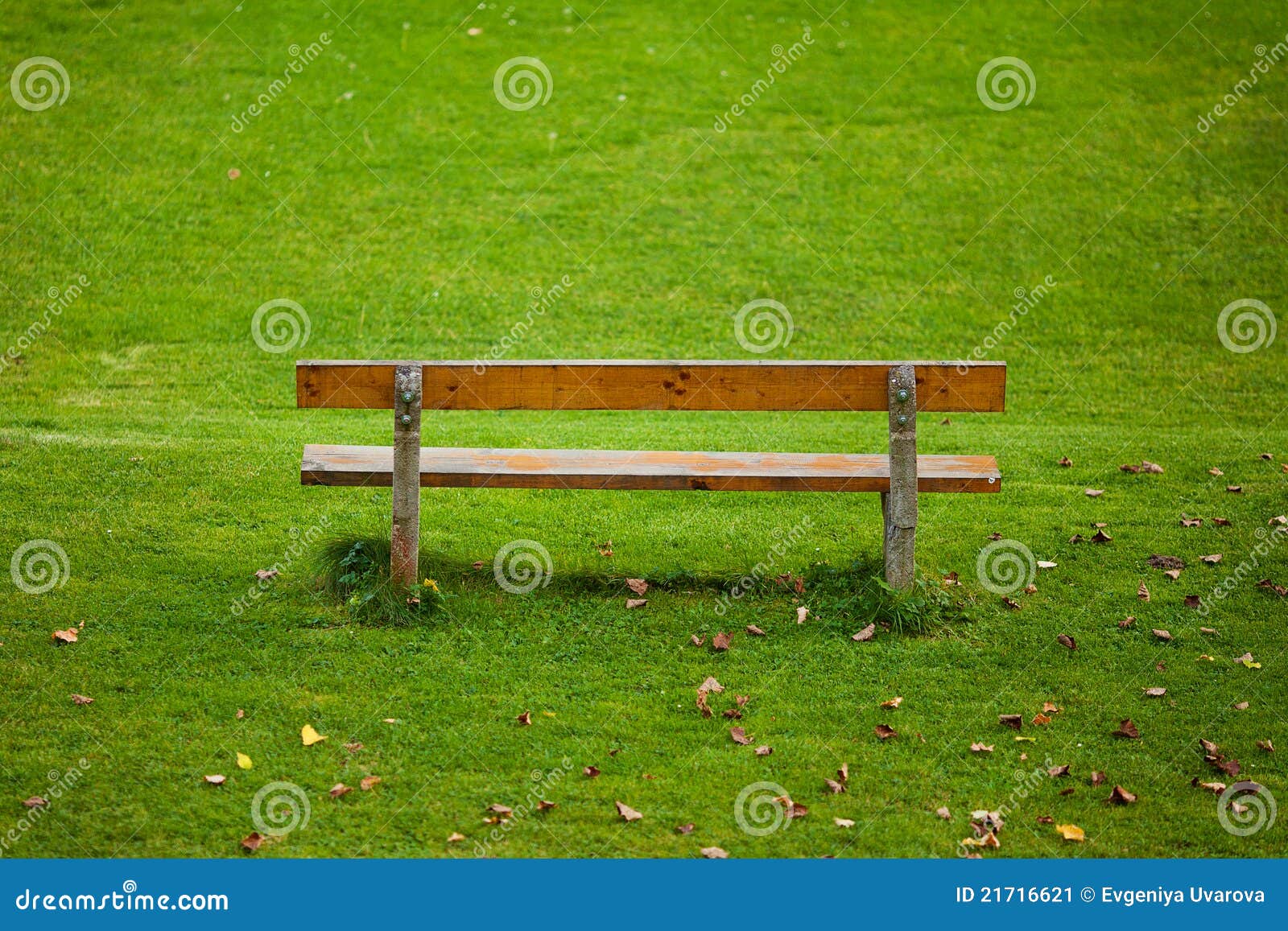 Lone bench stock image. Image of summer, high, lush, freshness - 21716621