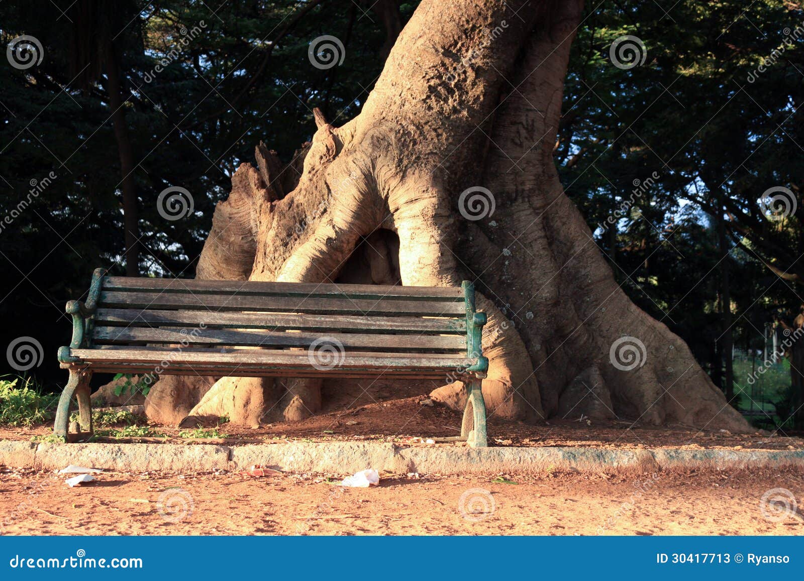 Lone bench stock image. Image of nature, scenery, forest - 30417713