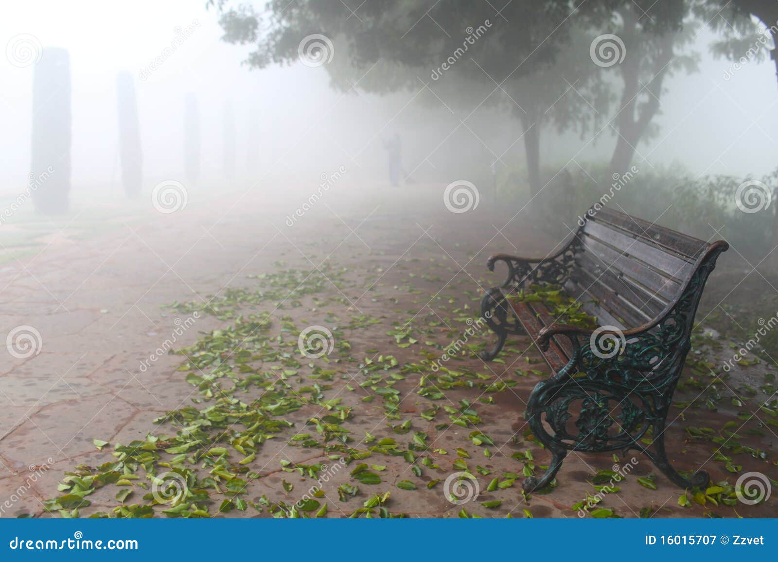 Lone bench over mist stock image. Image of peaceful, calmness - 16015707