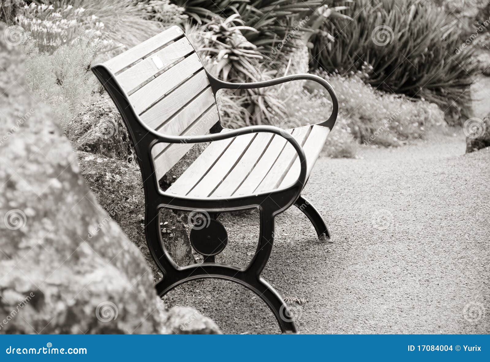 Lone bench in the park stock photo. Image of black, isolated - 17084004