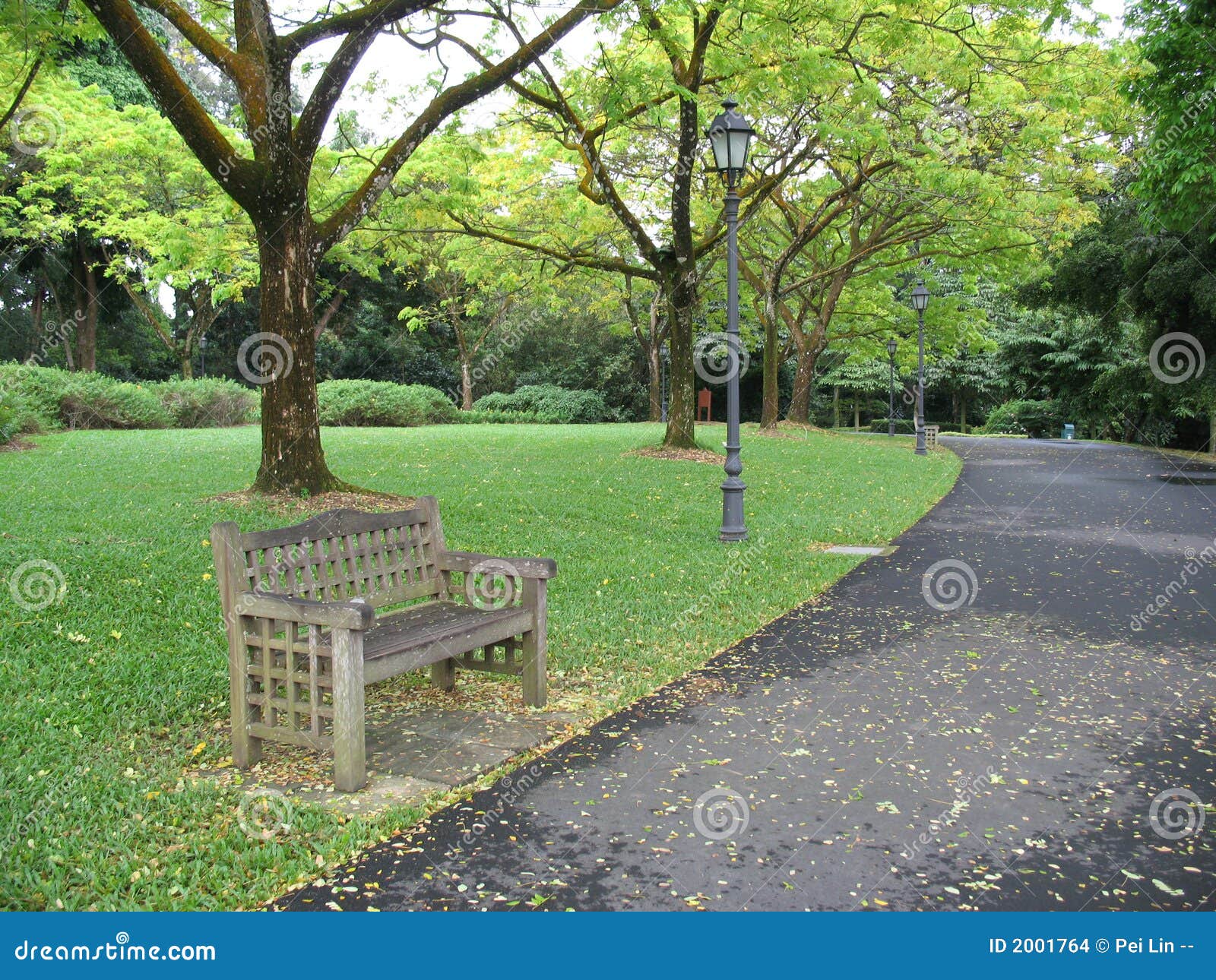 Lone bench in park stock photo. Image of single, public - 2001764