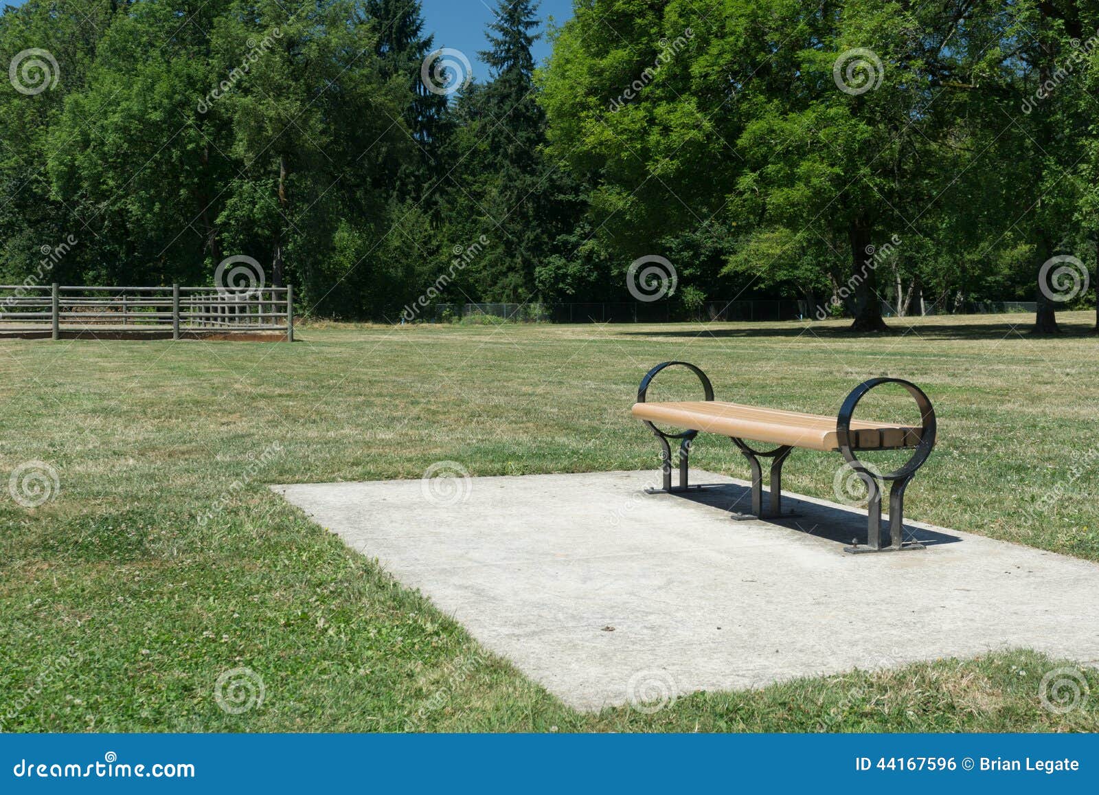 Lone bench in a park stock photo. Image of couple, trees - 44167596