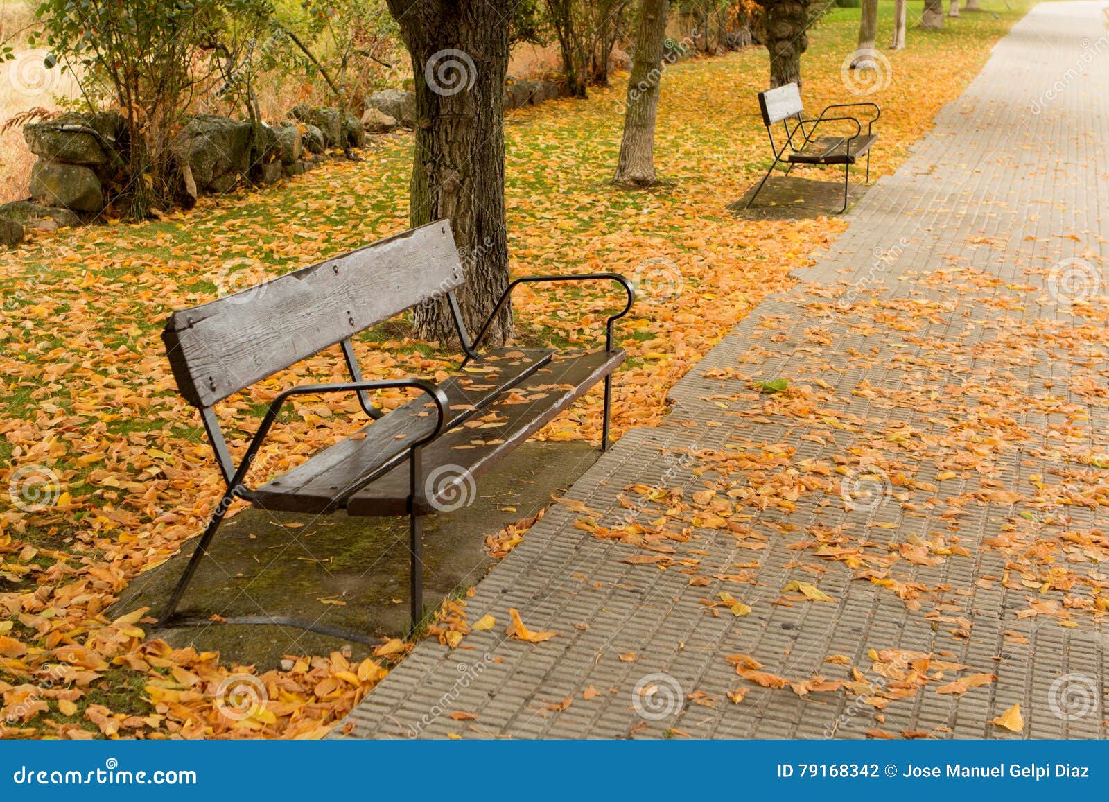 Lone Bench on a Ride in the Autumn Stock Photo - Image of brown, bench ...