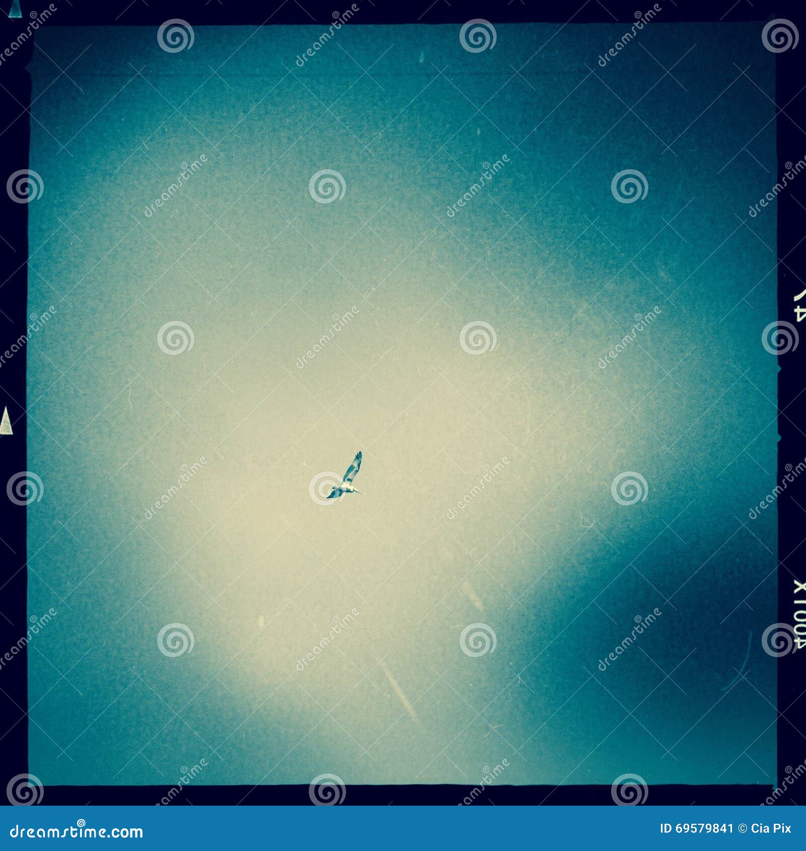 Lone bird flying stock image. Image of retro, grainy - 69579841