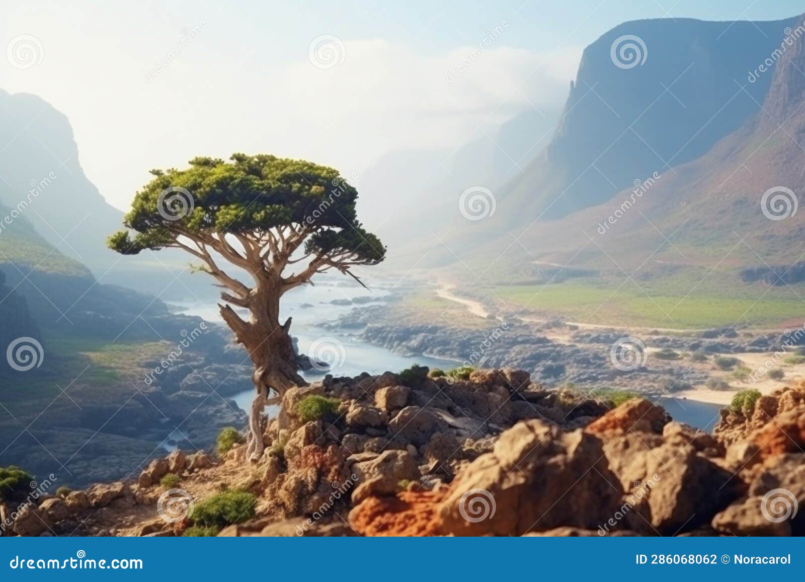 Bonsai Tree Grow on Mountainous Cliff AI Generated Stock Illustration ...