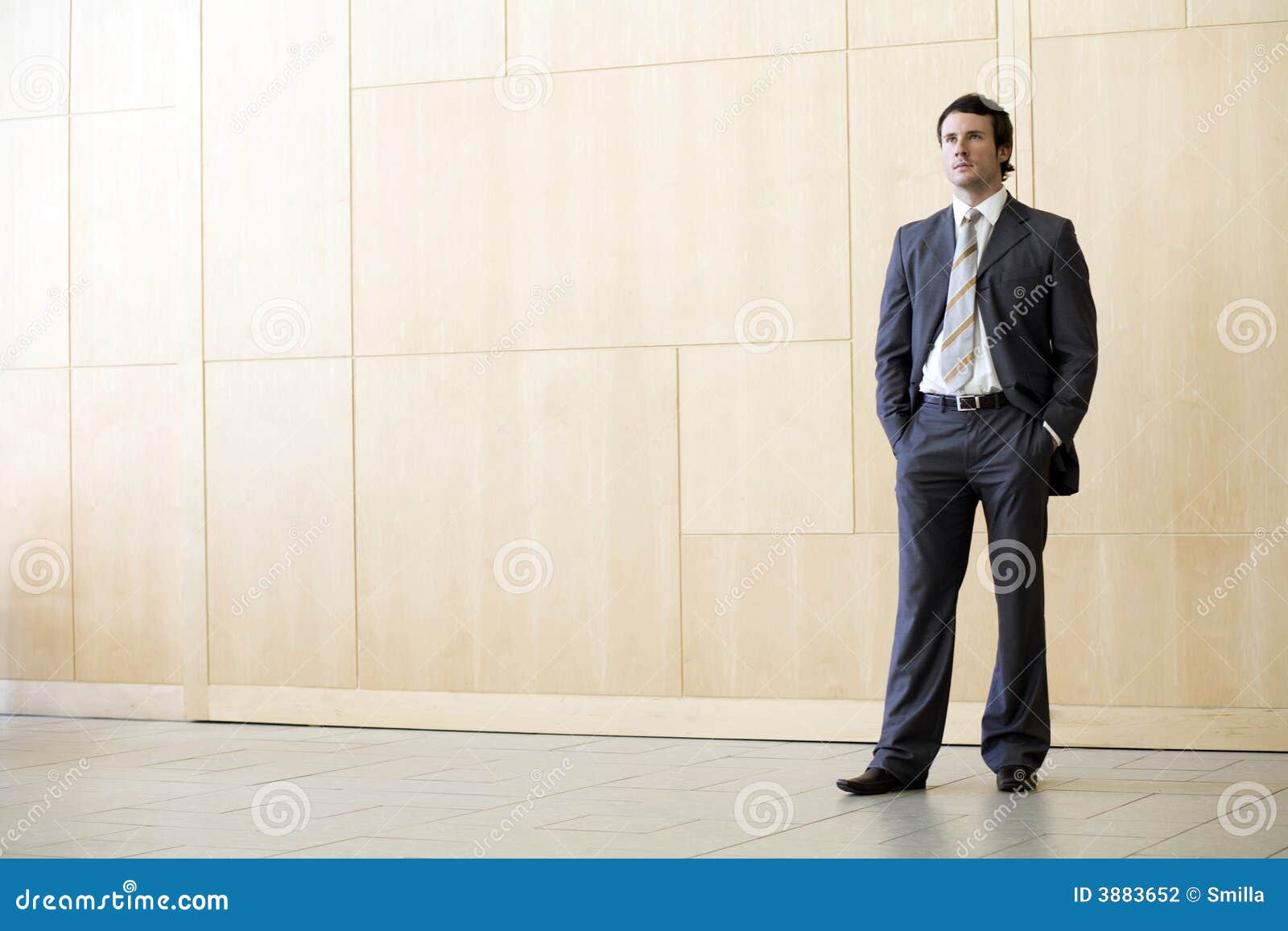 Lone businessman standing stock photo. Image of person - 3883652