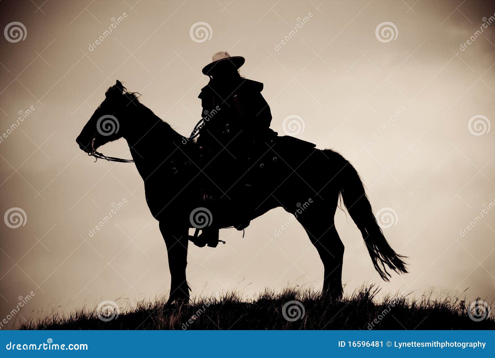 Lone Cowboy stock image. Image of cowboys, horse, western - 16596481