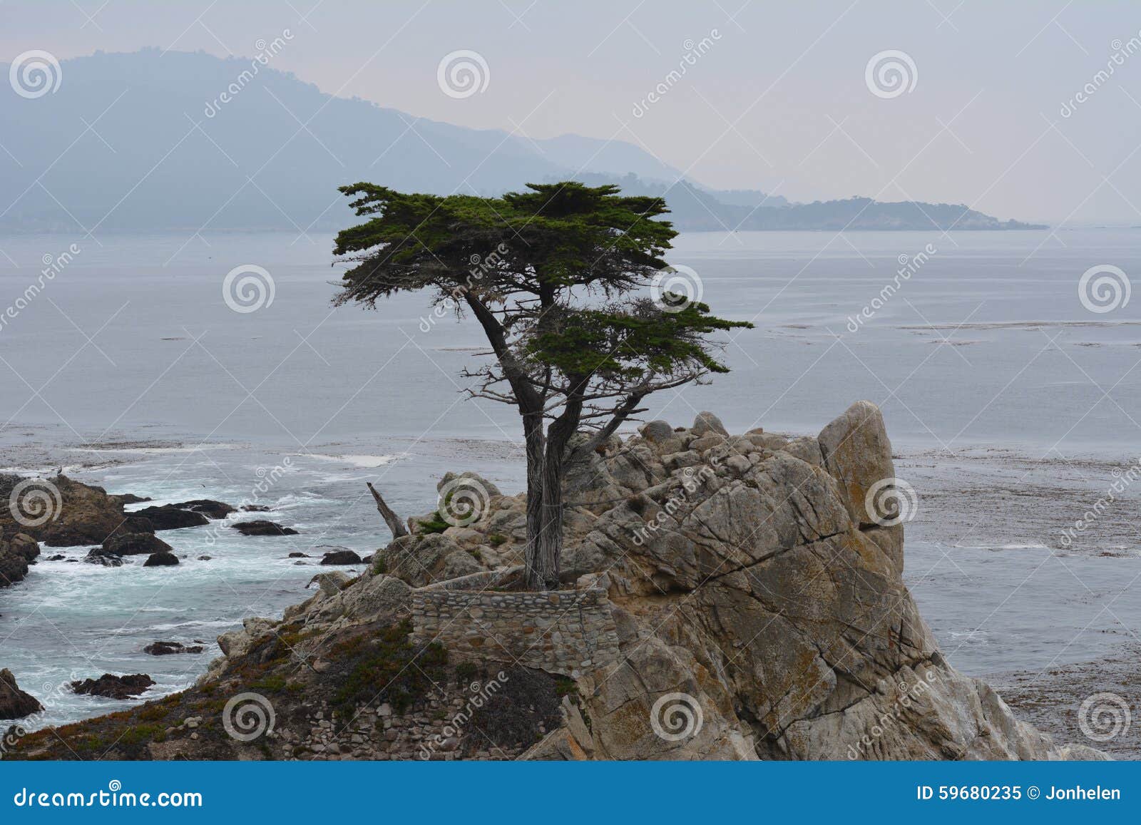 Lone Cyprus Tree stock image. Image of lone, view, famous - 59680235